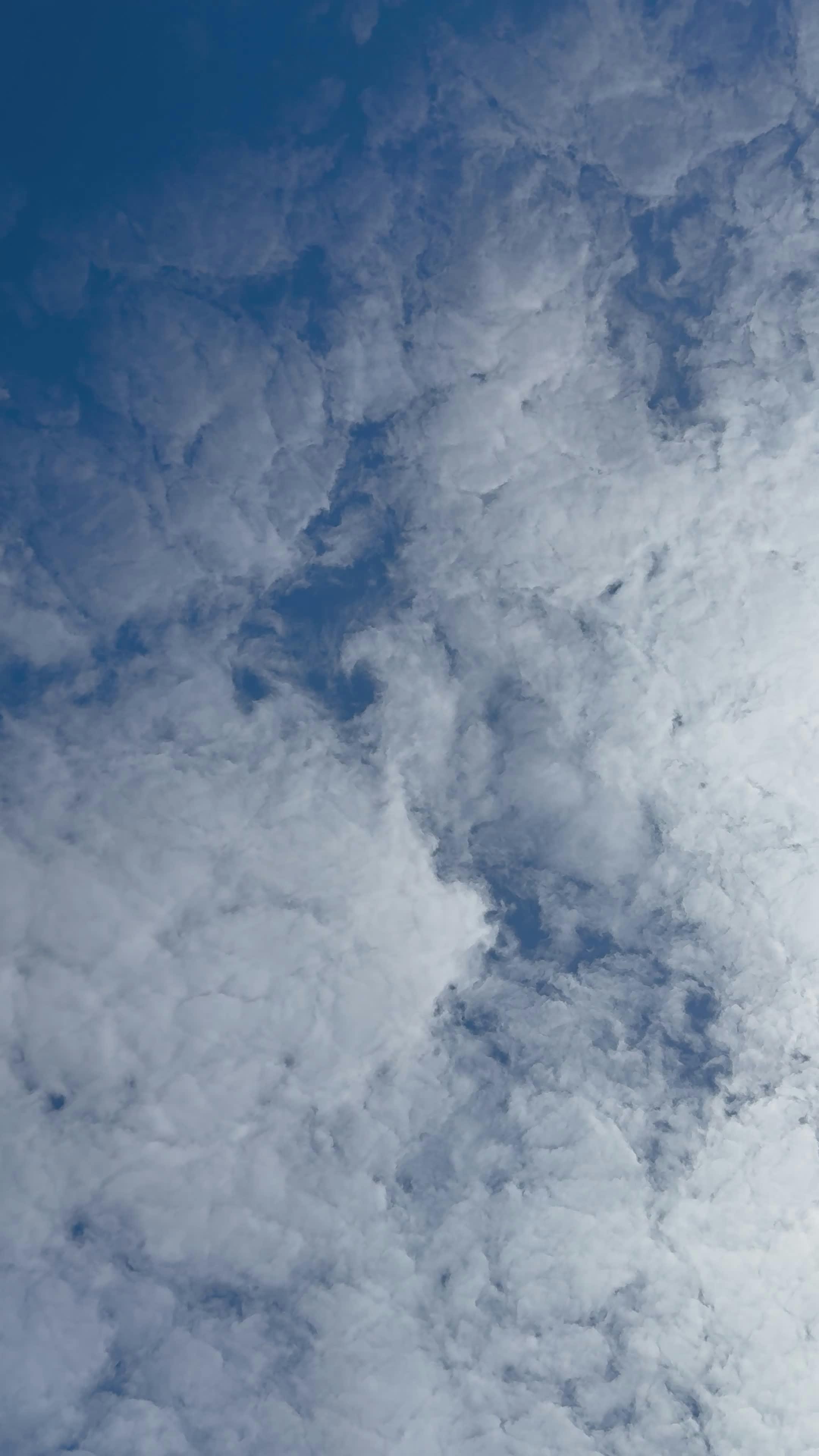 Free+Ambient+Loops Videos, Download The BEST Free 4k Stock Video ...