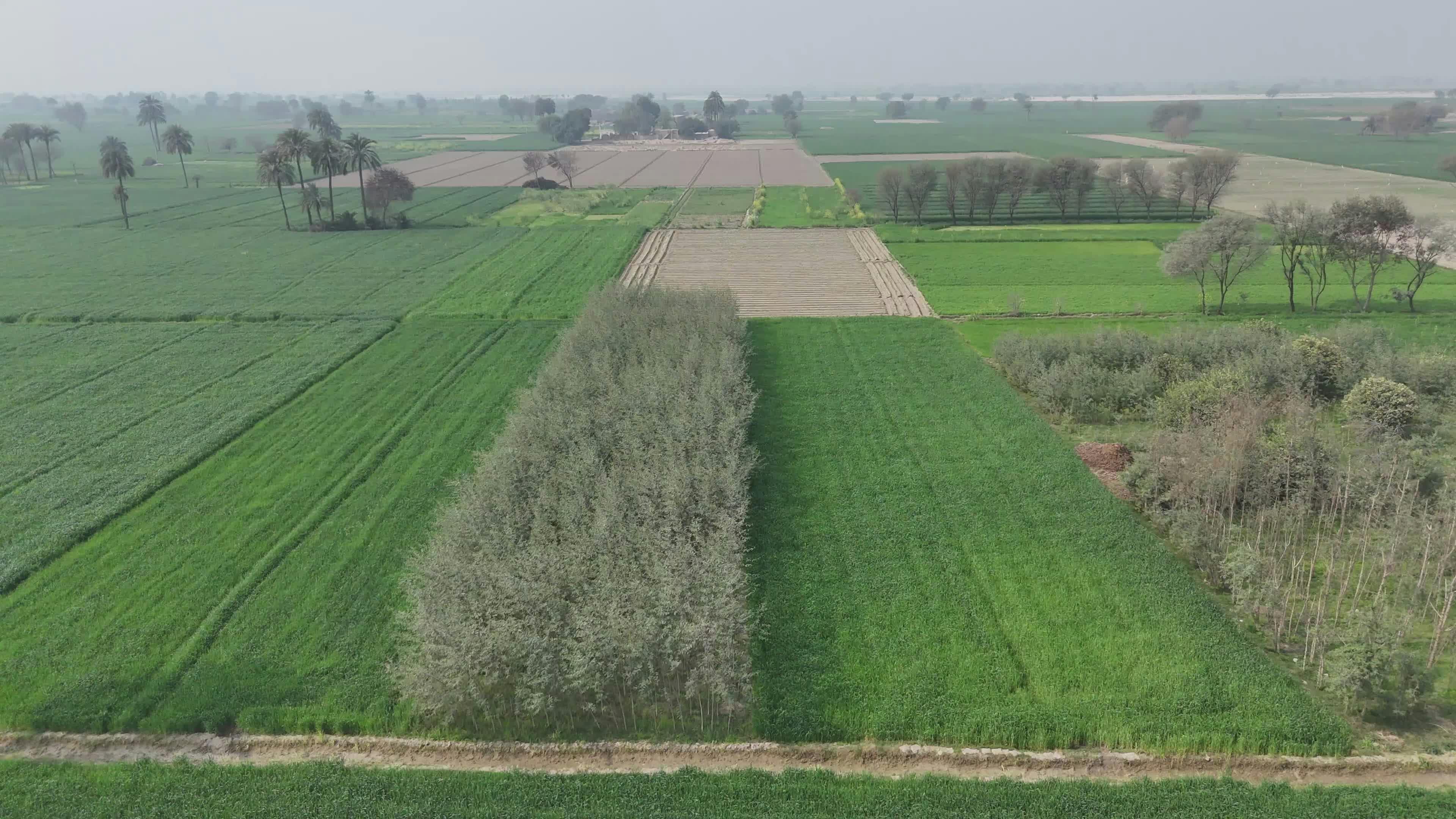 Pharonic Pattern Videos, Download The BEST Free 4k Stock Video Footage ...