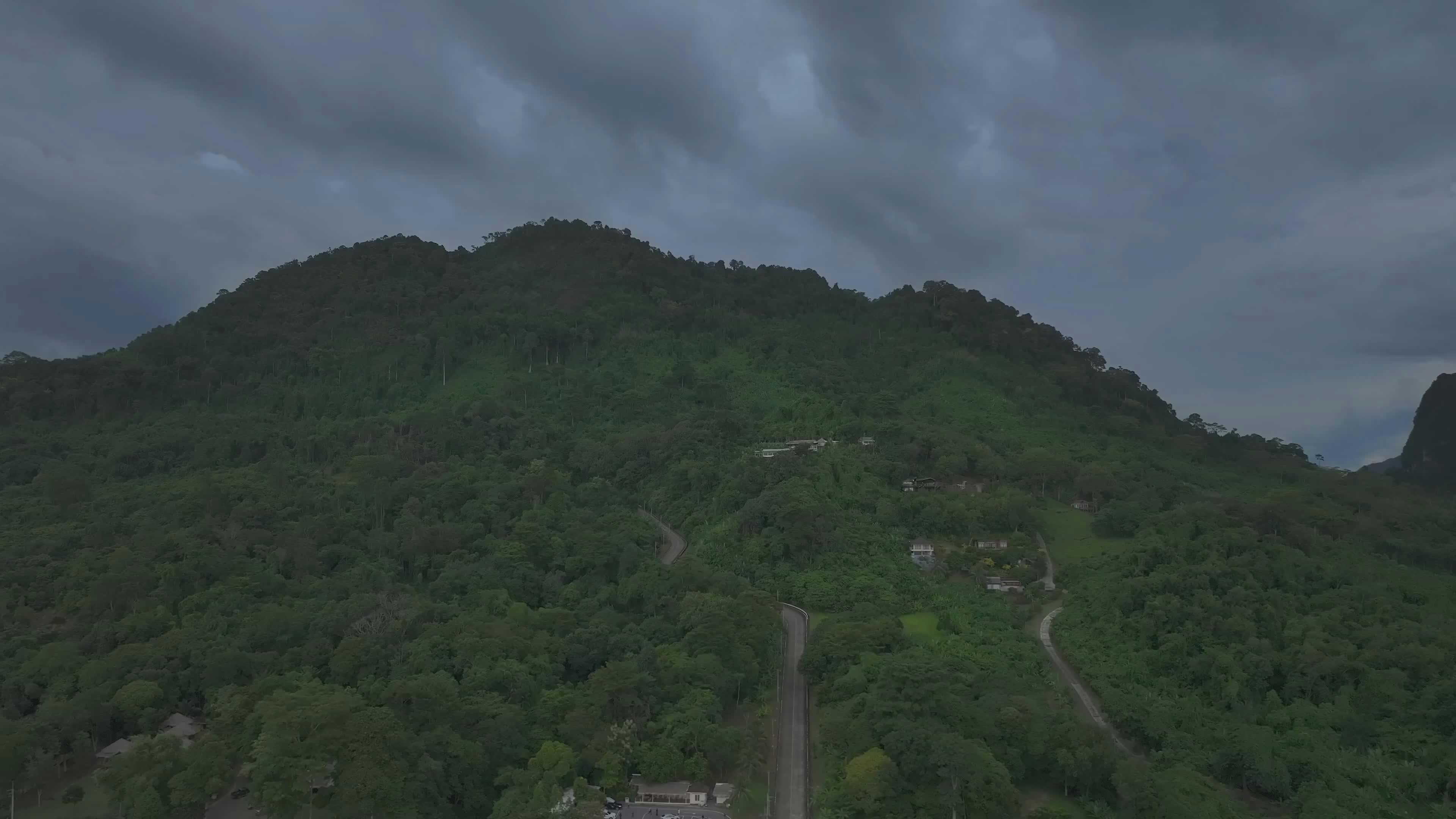 Aerial 4K Nature Footage of Coastal Forests and Beach Free Stock Video ...