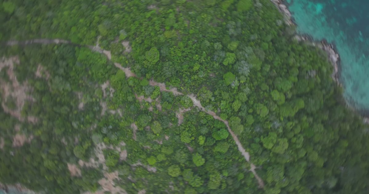 Secret+Handful+Free Videos, Download The BEST Free 4k Stock Video ...