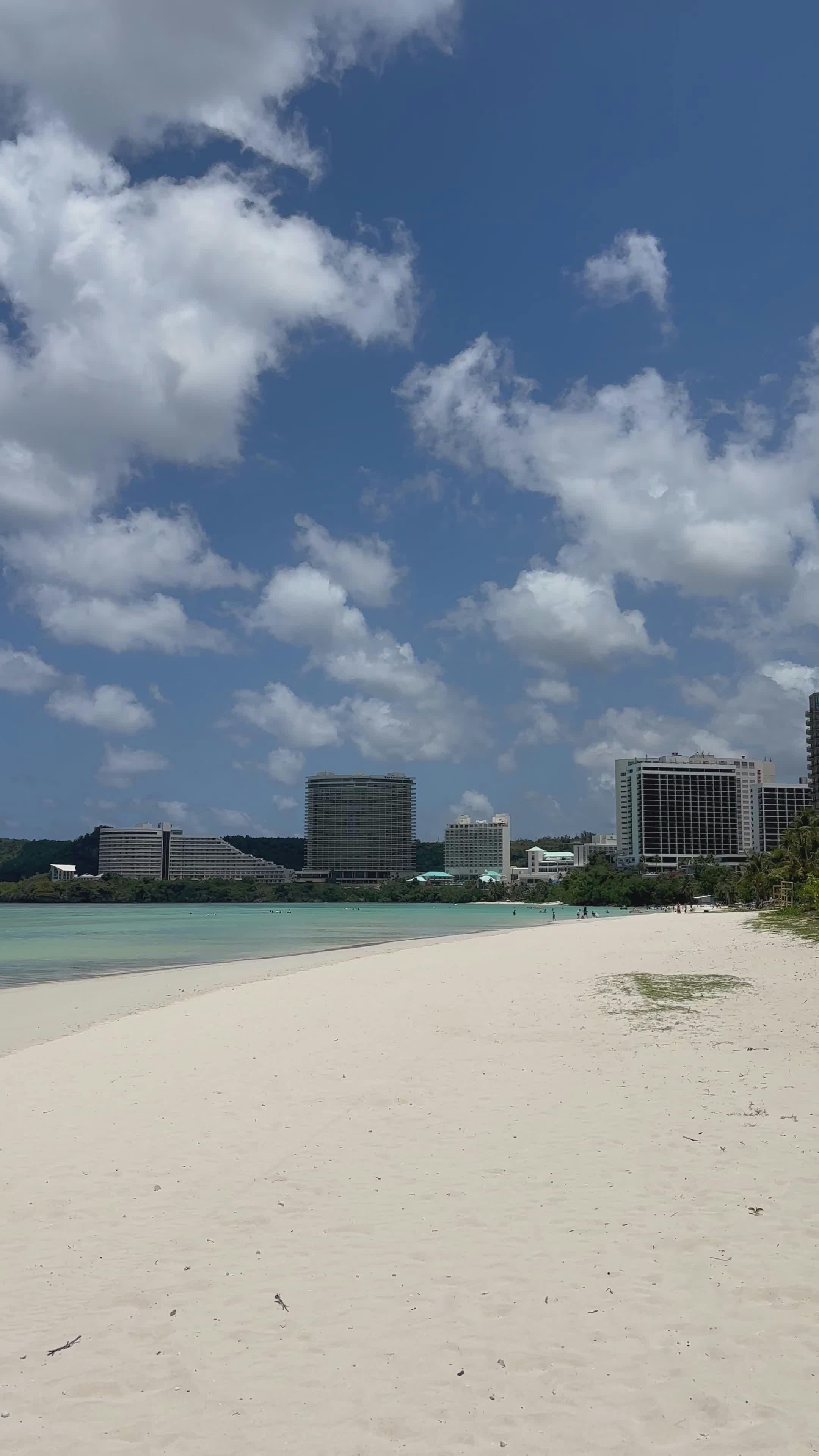Scenic Beachfront with City Skyline in View Free Stock Video Footage ...