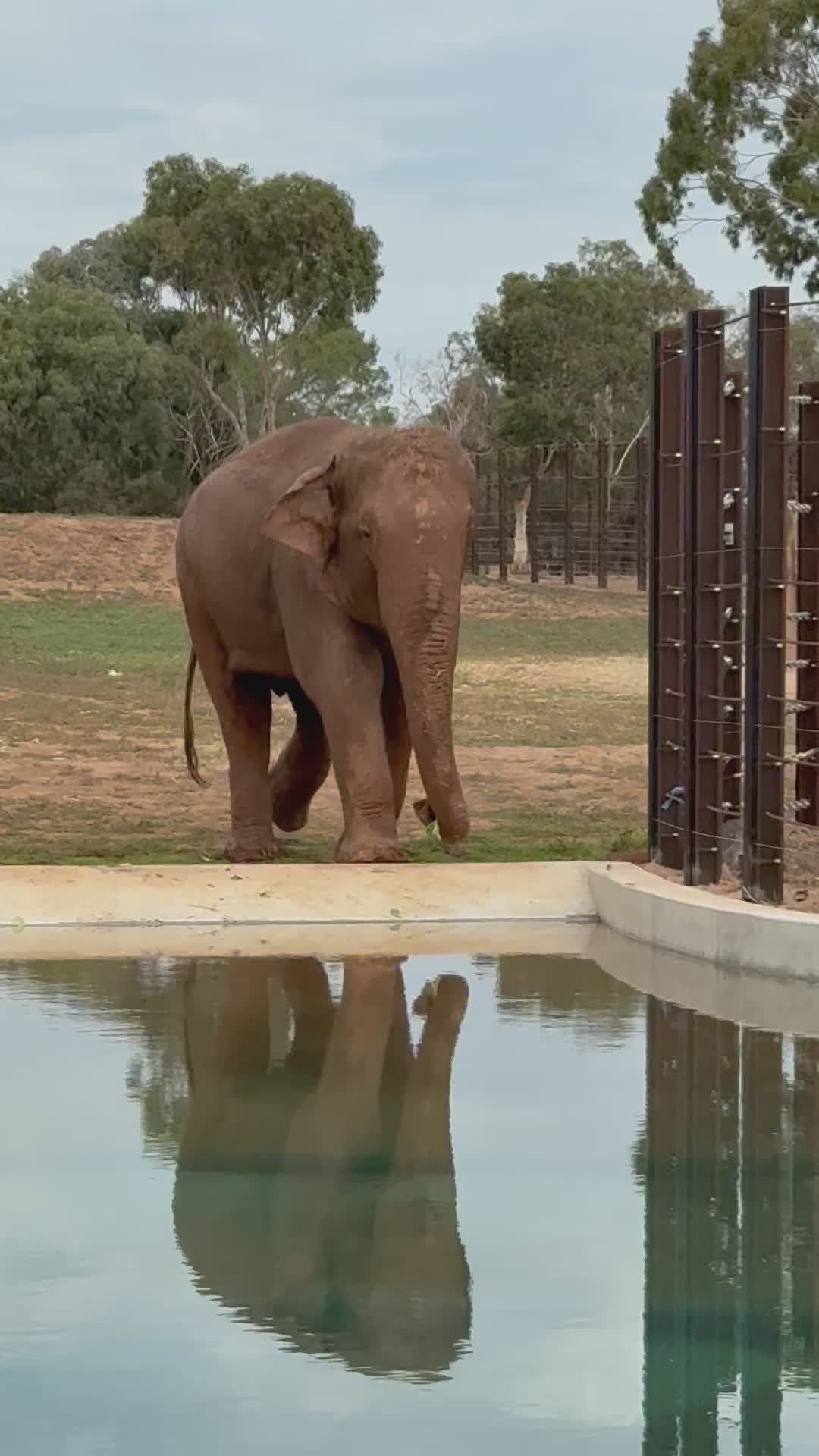 Zoo Animals Videos, Download The BEST Free 4k Stock Video Footage & Zoo ...