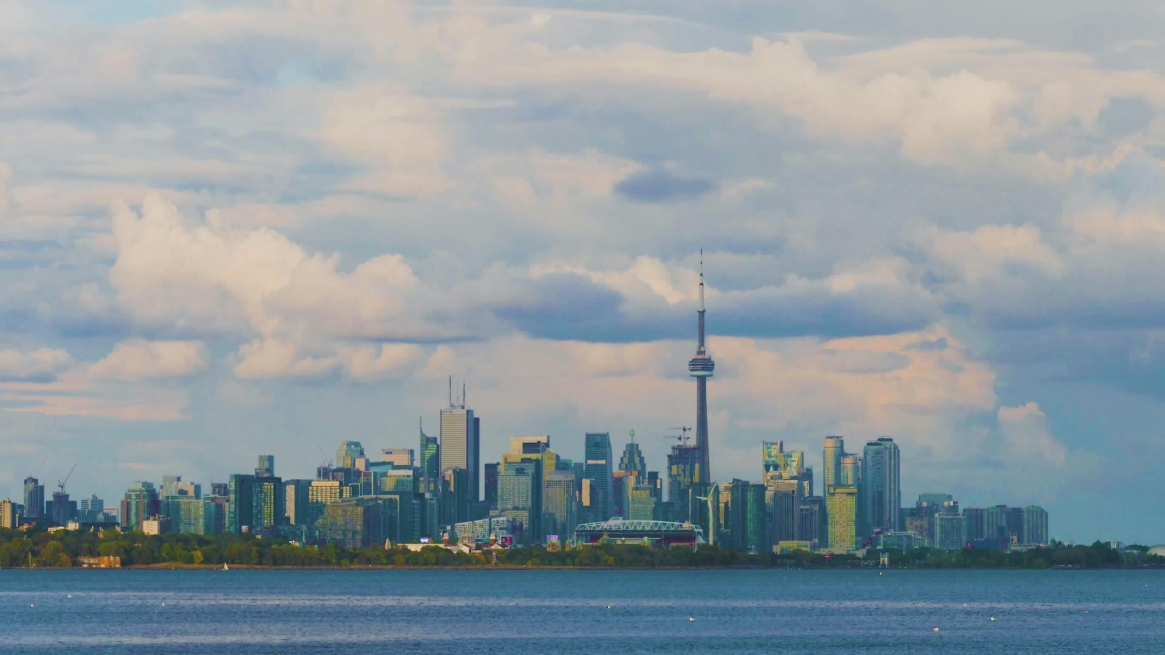 Toronto Skyline with CN Tower by the Lake Free Stock Video Footage ...