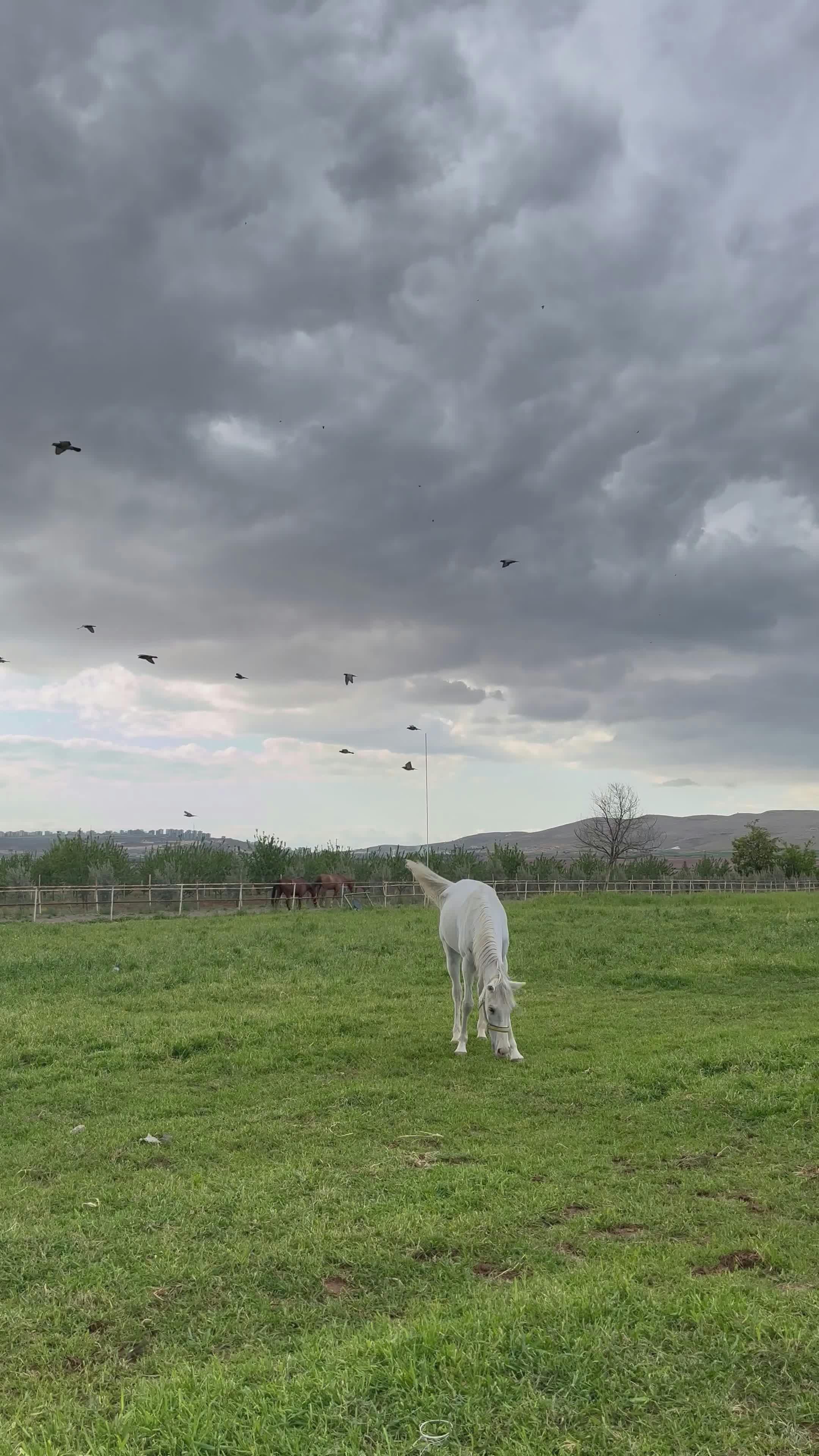 Ariel Views Videos, Download The BEST Free 4k Stock Video Footage ...