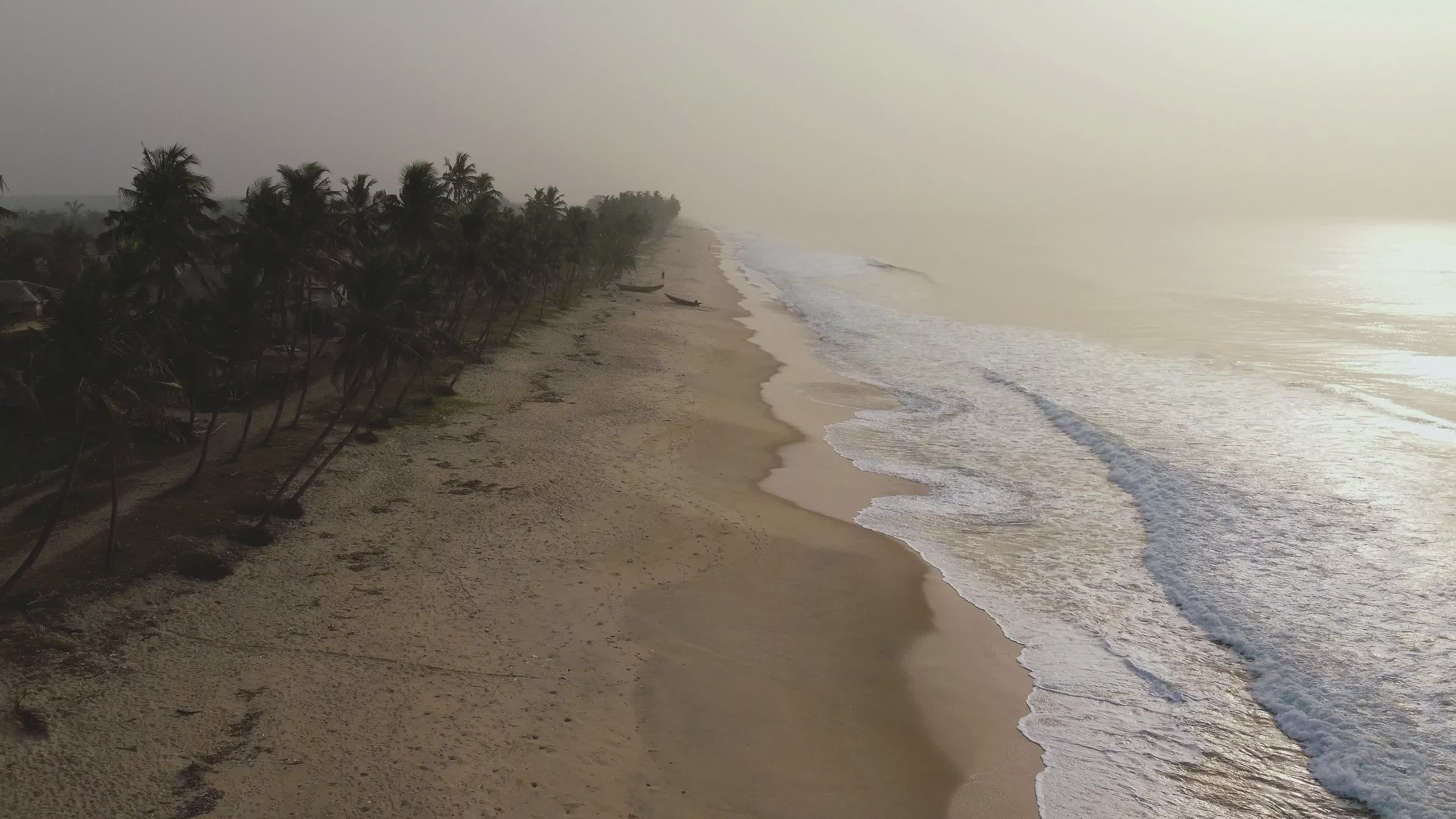 Serene Sunrise on Nigerian Beach with Palm Trees Free Stock Video ...