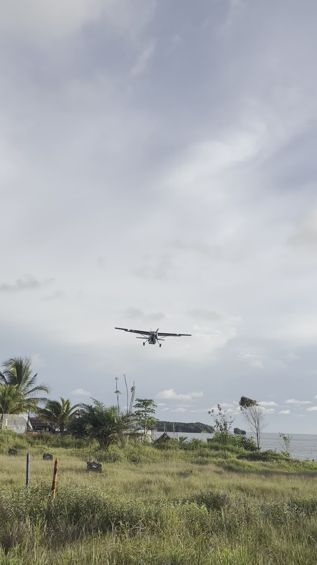 Plane Flying Videos, Download The BEST Free 4k Stock Video Footage ...