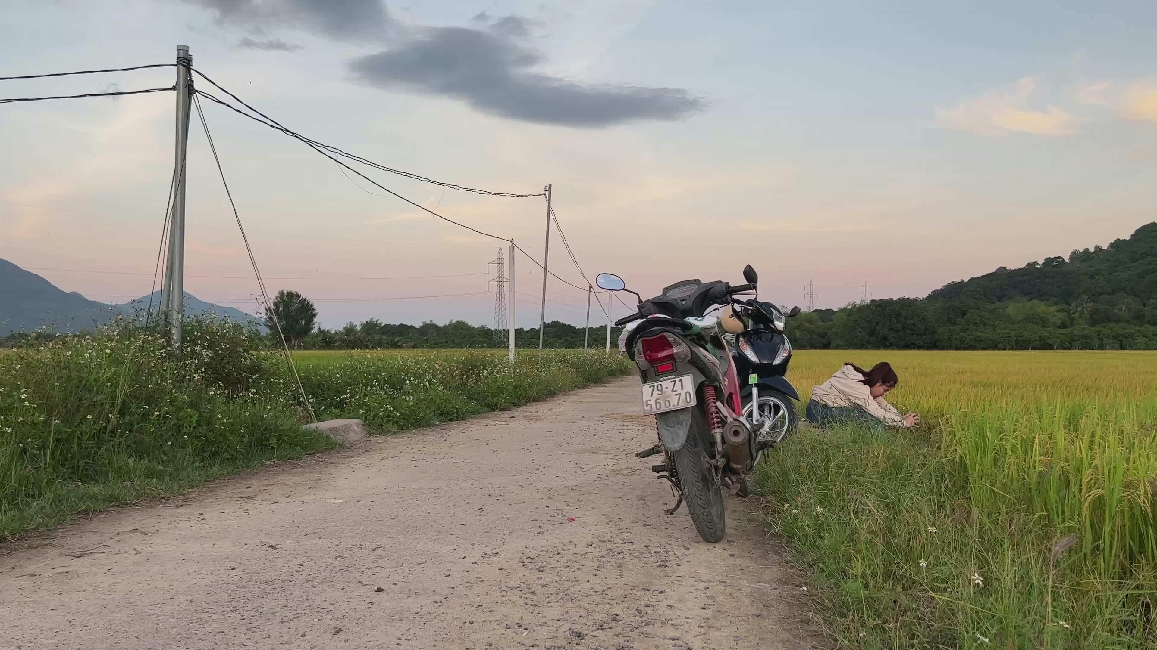 Open Path Videos, Download The BEST Free 4k Stock Video Footage & Open ...