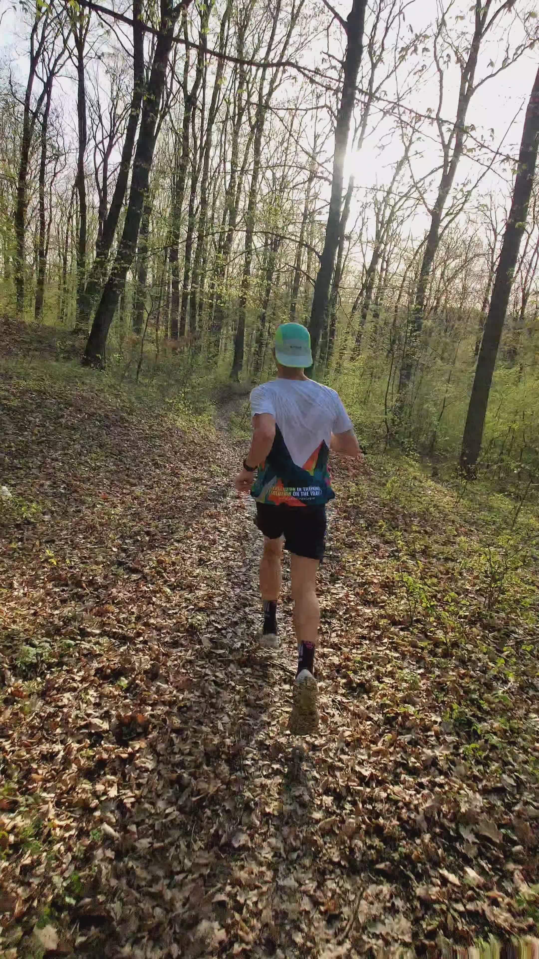 Trail Running Through Sunlit Forest Path Free Stock Video Footage ...