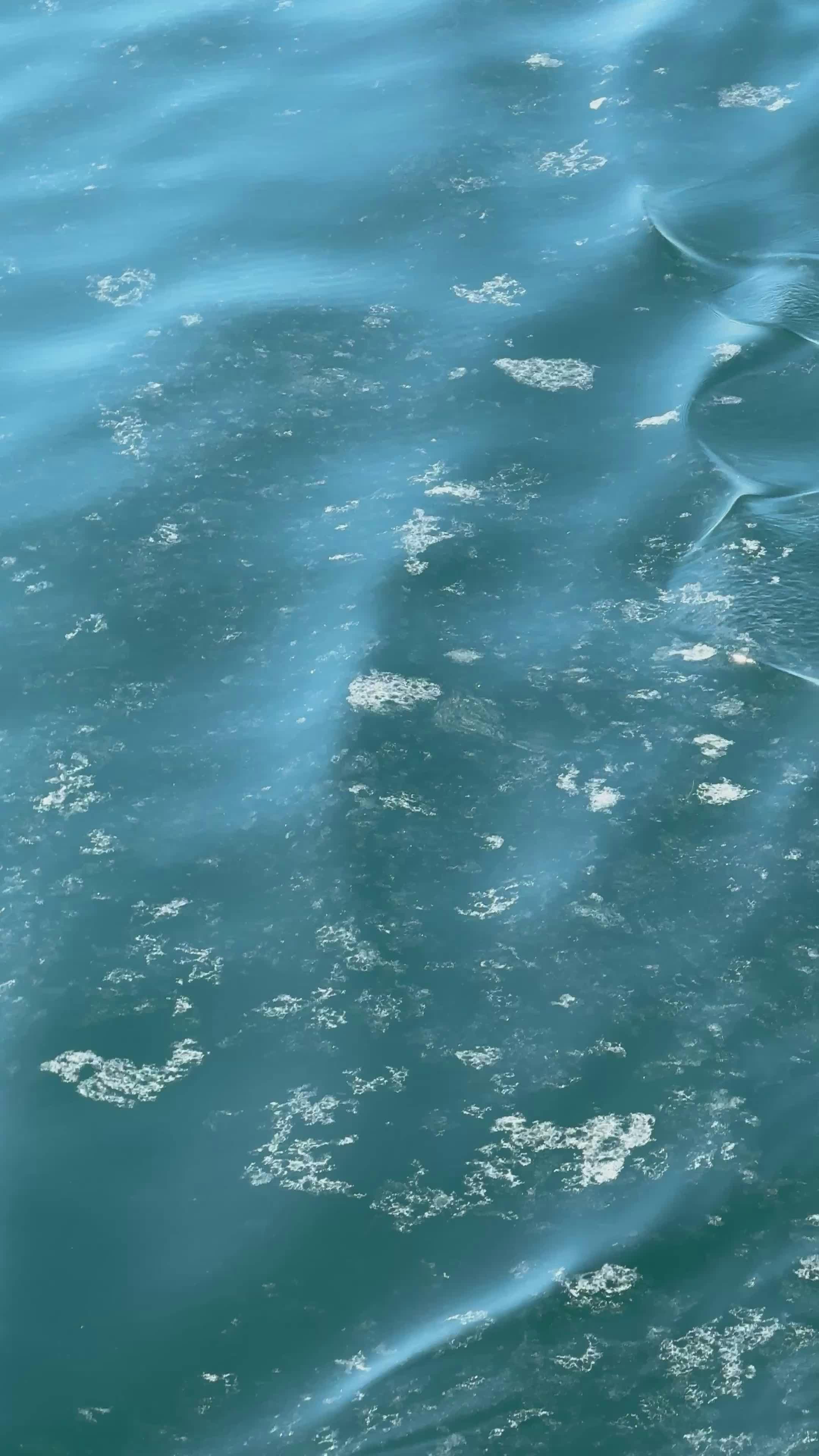 Gentle Flowing Water Videos, Download The BEST Free 4k Stock Video ...