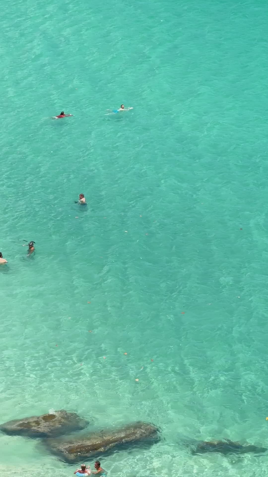 Aerial View of Swimmers in Tropical Ocean Free Stock Video Footage ...
