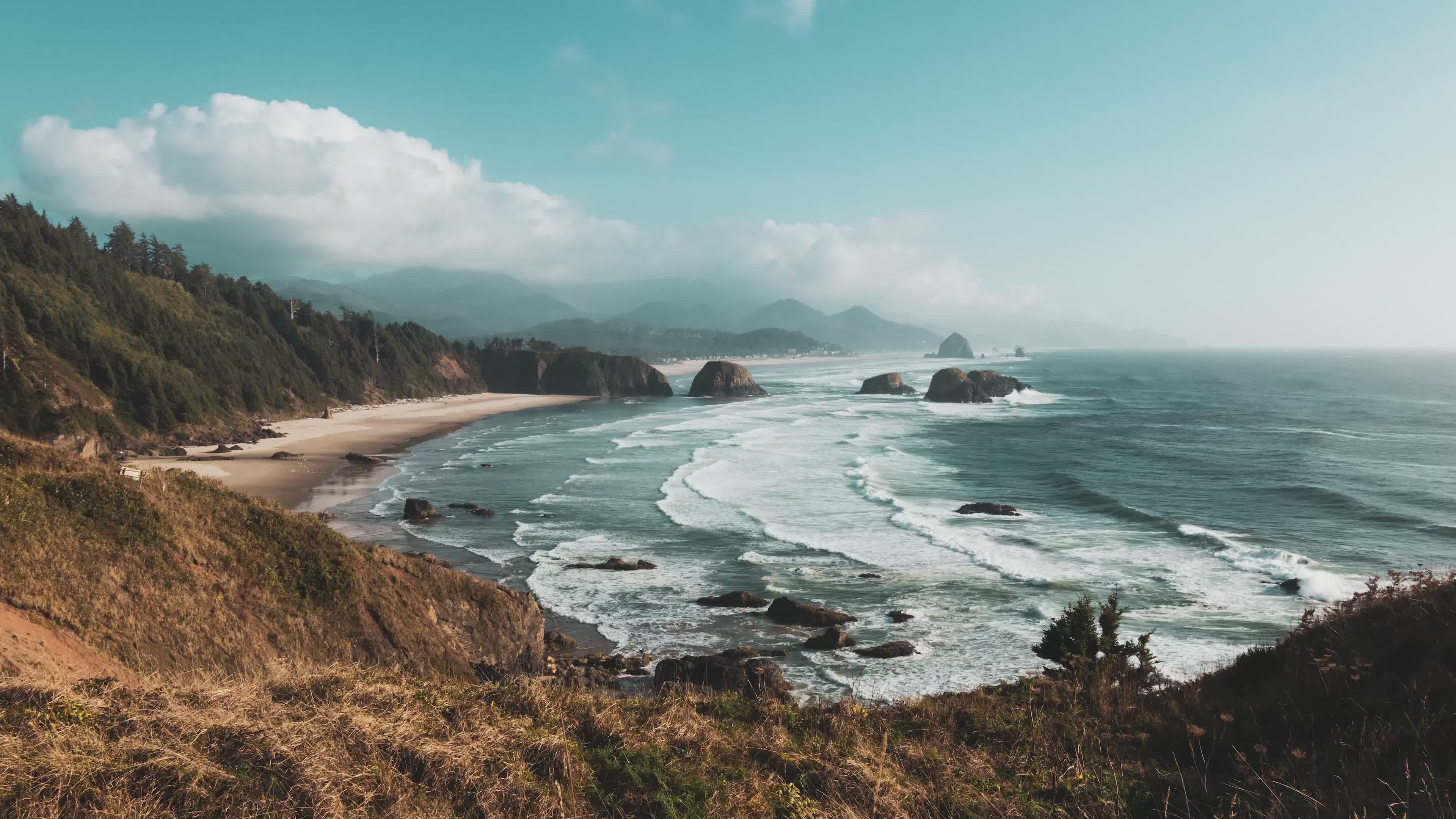 Beach Cliffs And Sea Videos, Download The BEST Free 4k Stock Video ...