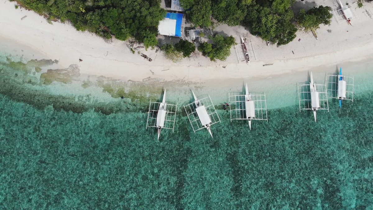 Fry99+Videos Videos, Download The BEST Free 4k Stock Video Footage ...