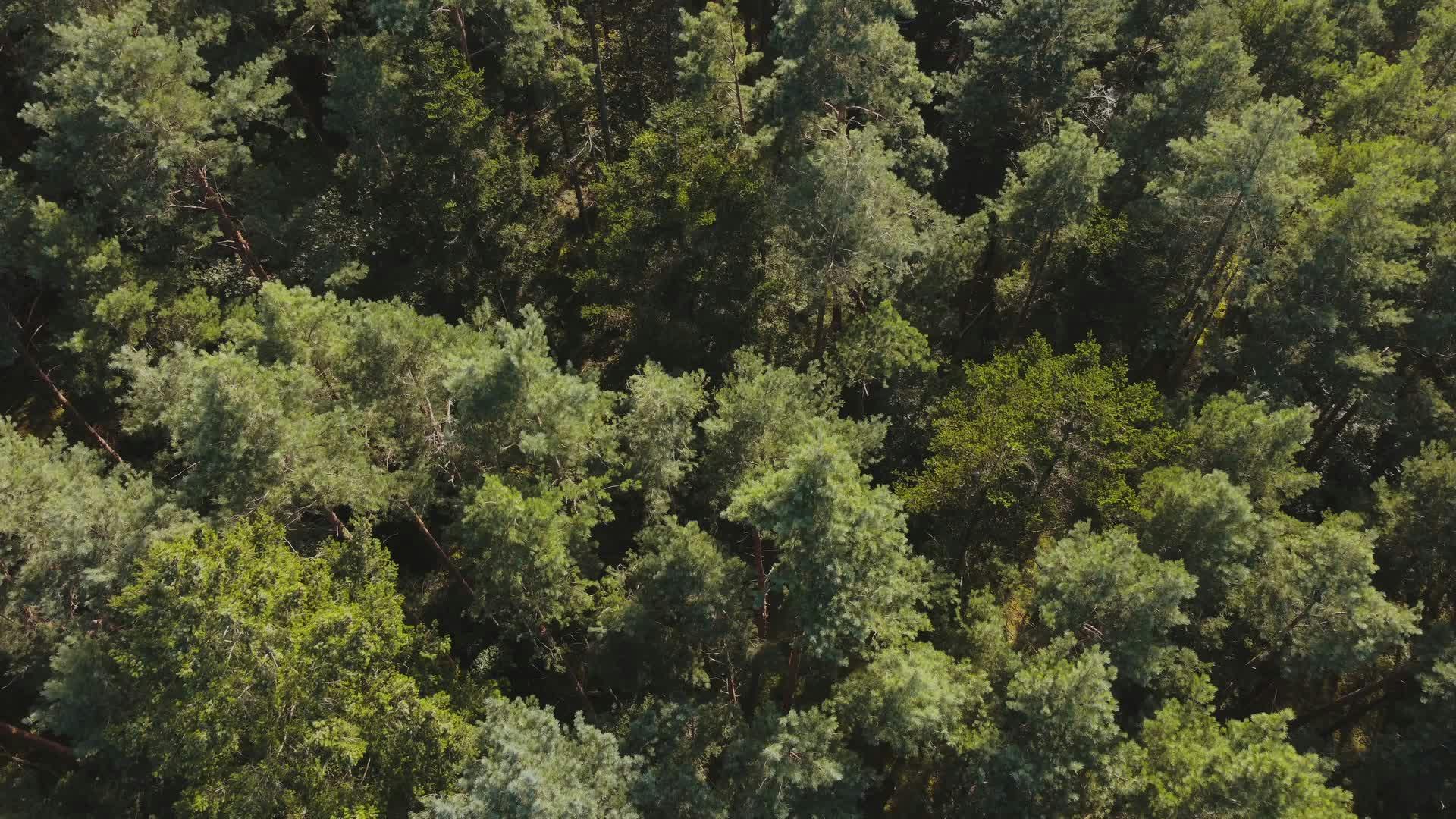 Vista Circundante Videos, Download The BEST Free 4k Stock Video Footage ...