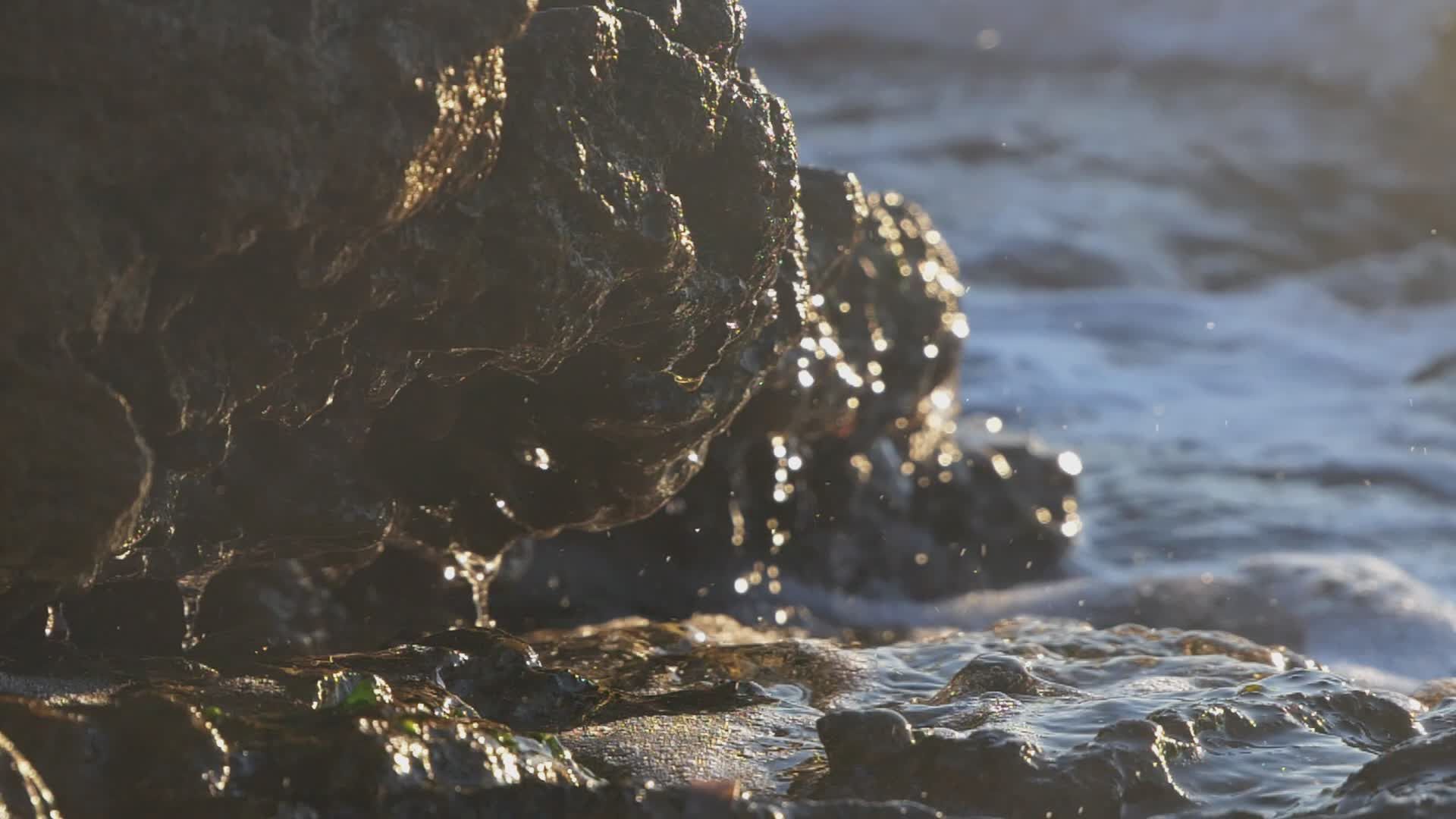 Sea Drops Videos, Download The BEST Free 4k Stock Video Footage & Sea ...
