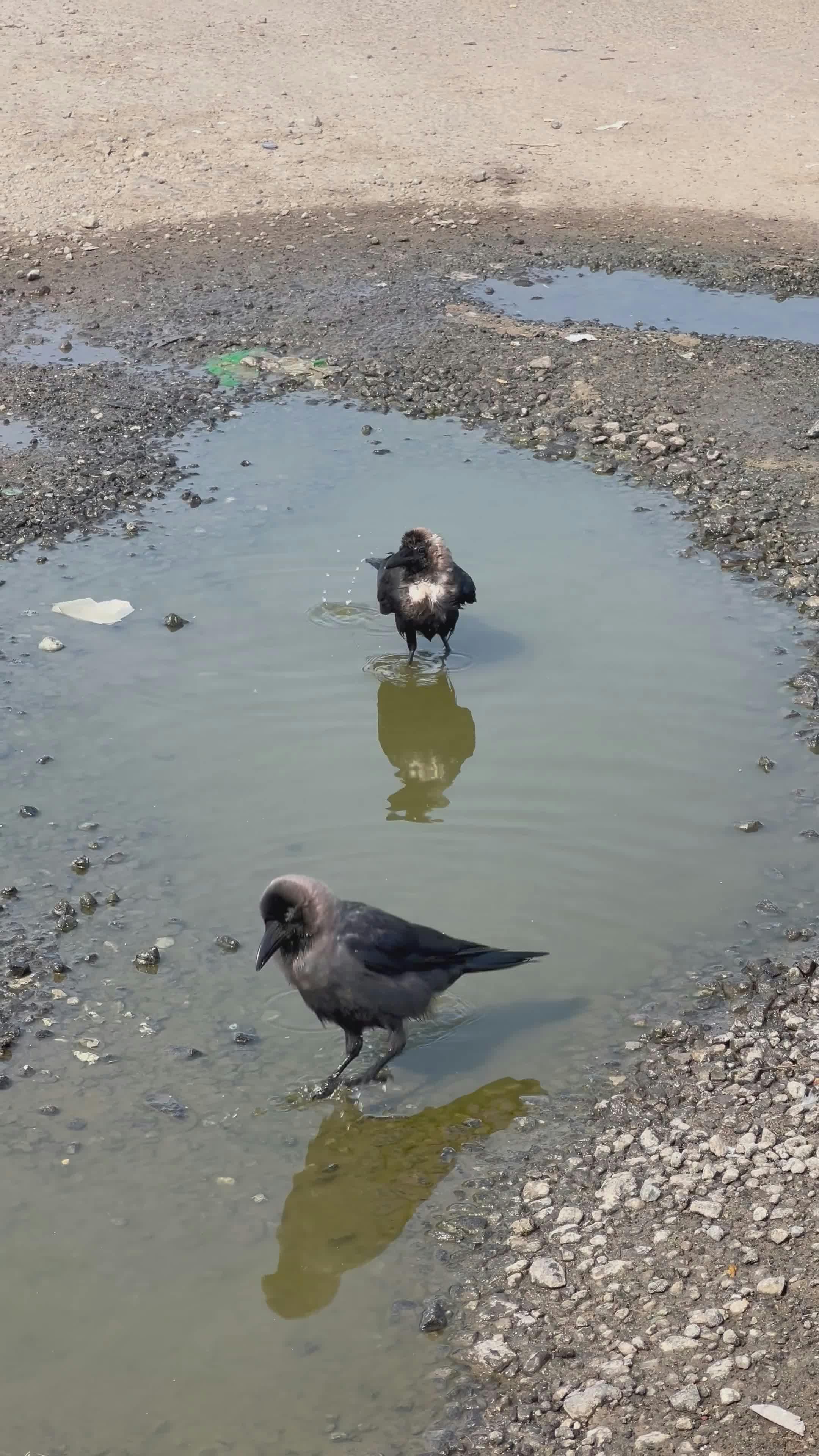 Calculus Humor Videos, Download The BEST Free 4k Stock Video Footage ...