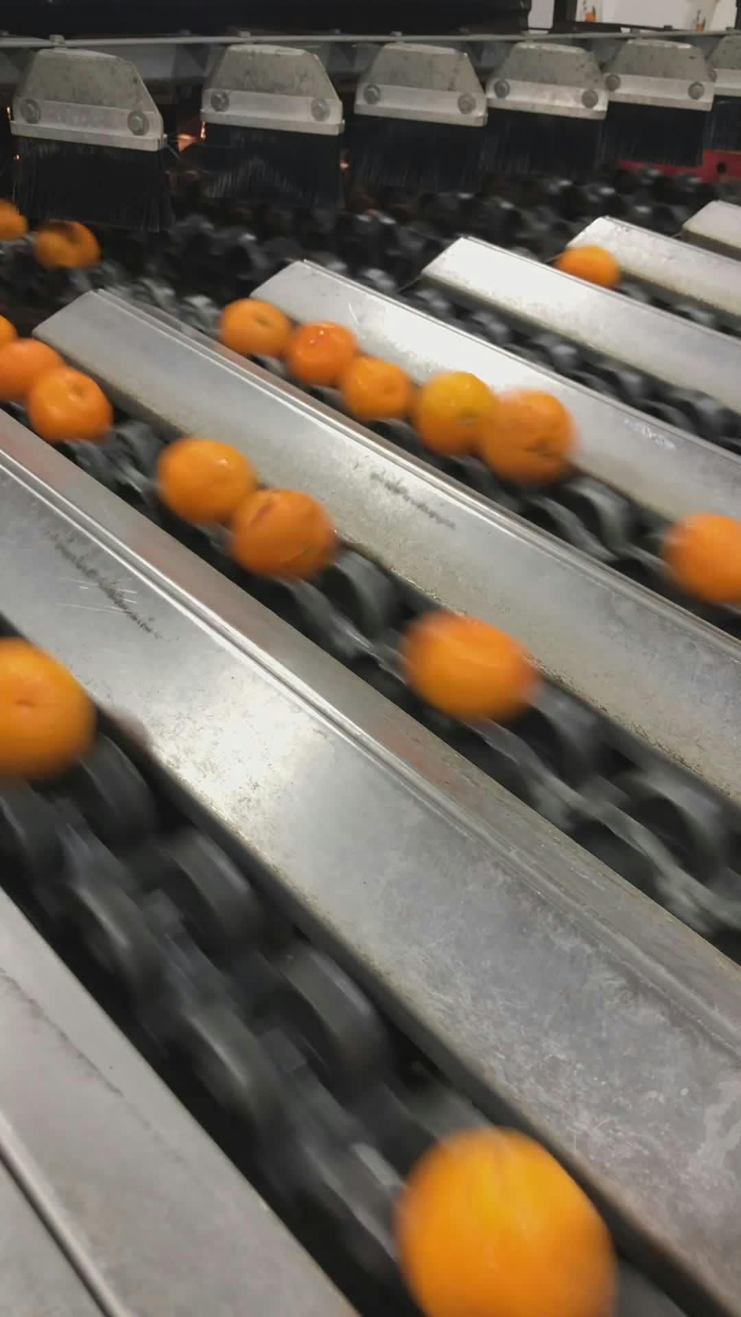 Pixel Sorting Videos, Download The BEST Free 4k Stock Video Footage ...