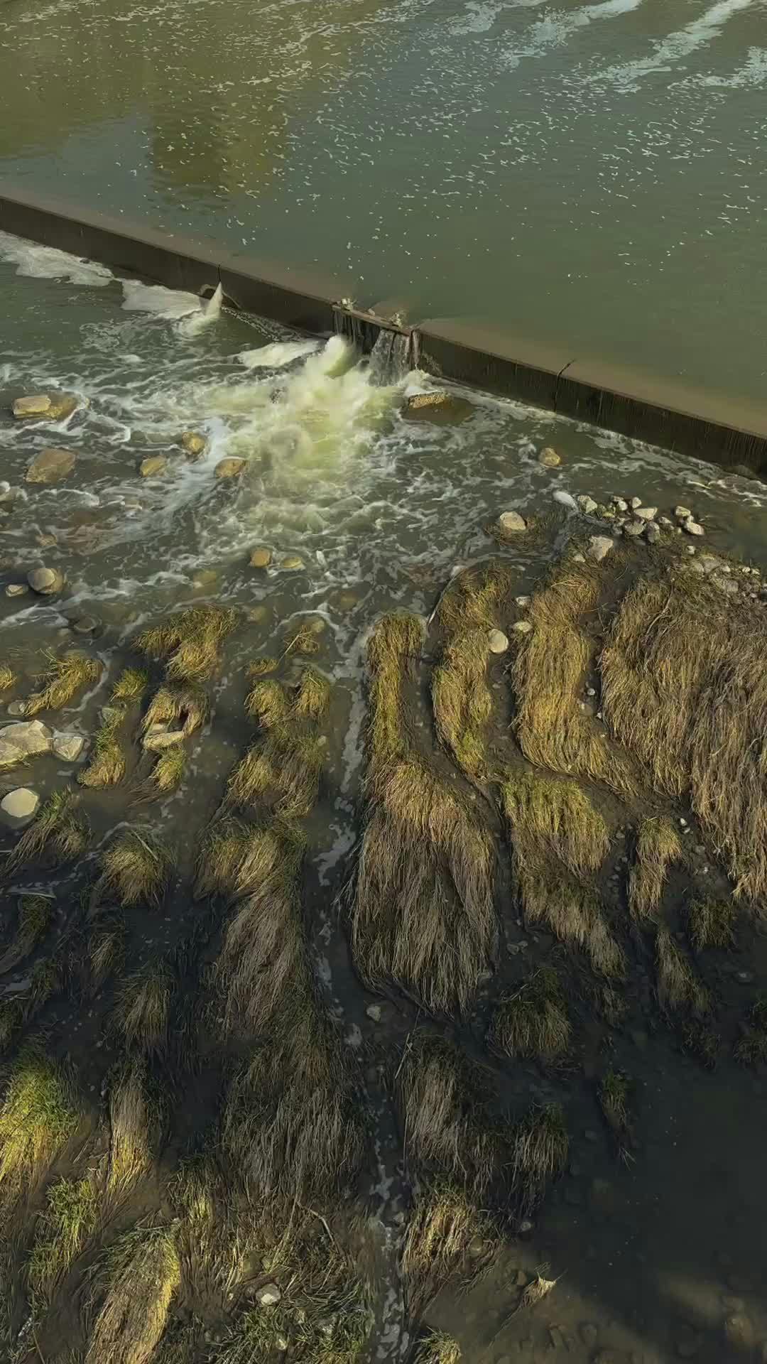 Wallpapers+Abundancia Videos, Download The BEST Free 4k Stock Video ...