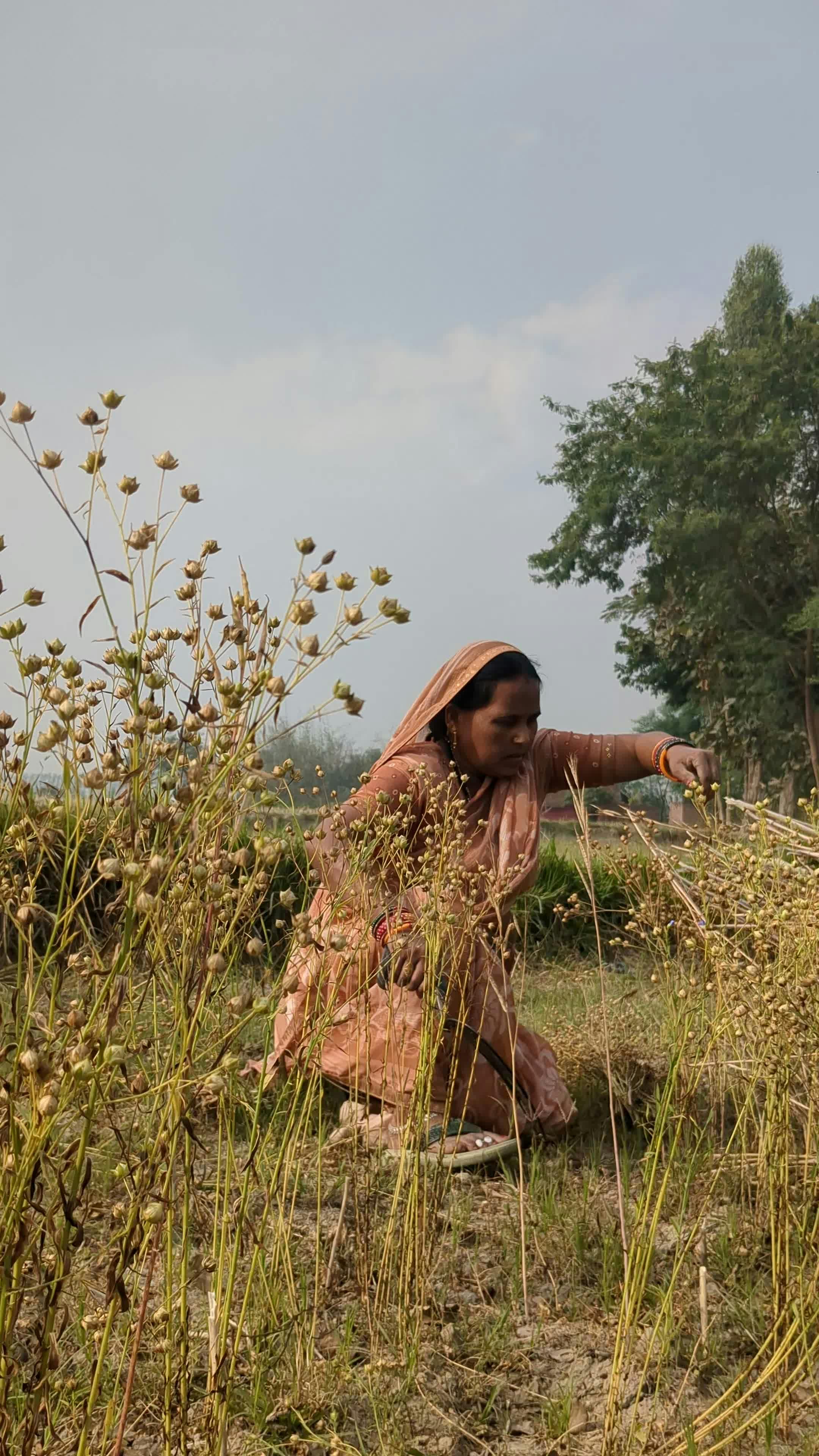 Farmer Tj Videos, Download The BEST Free 4k Stock Video Footage ...