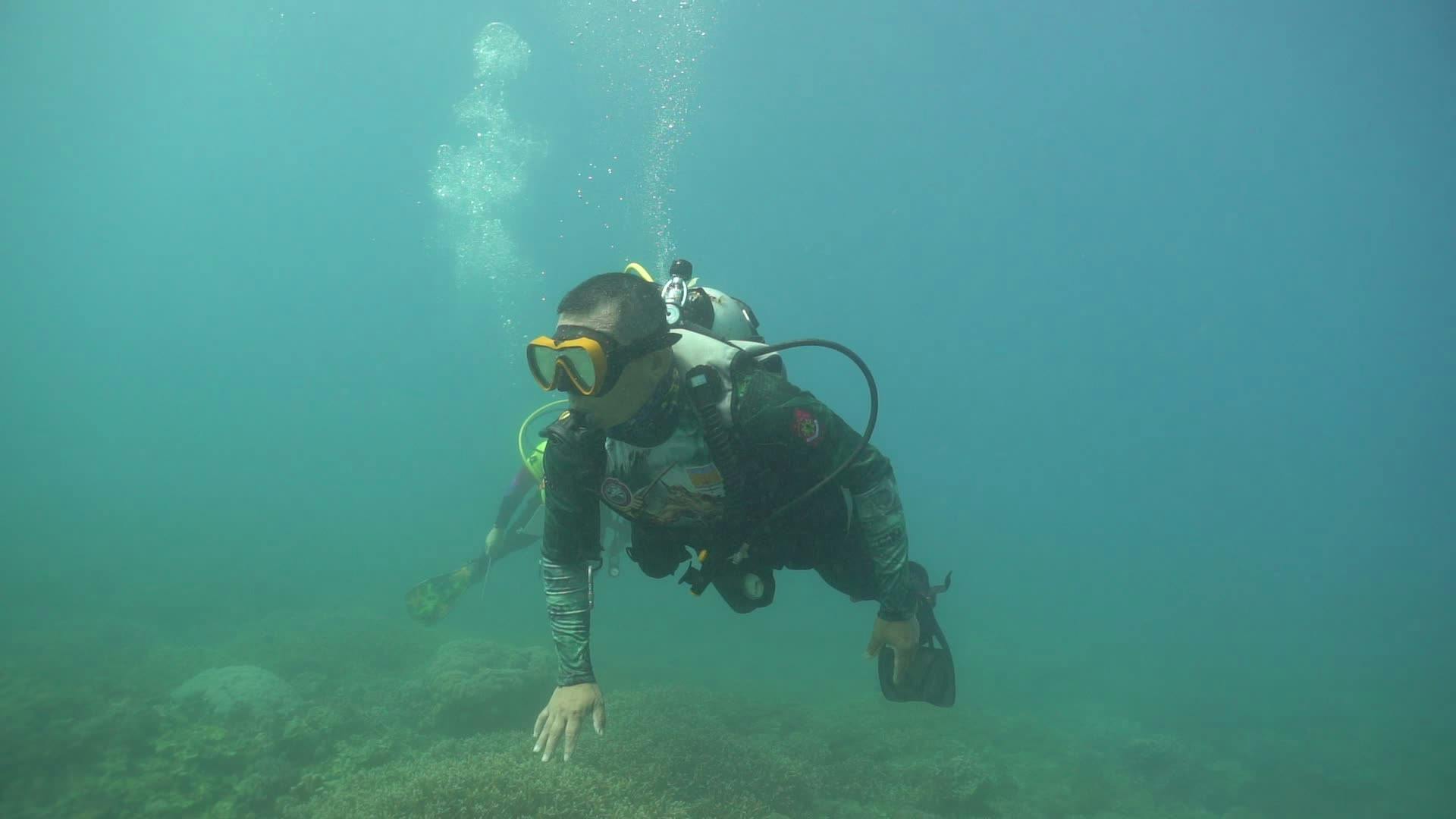 Underwater Scuba Diving Adventure with Tropical Fish Free Stock Video ...