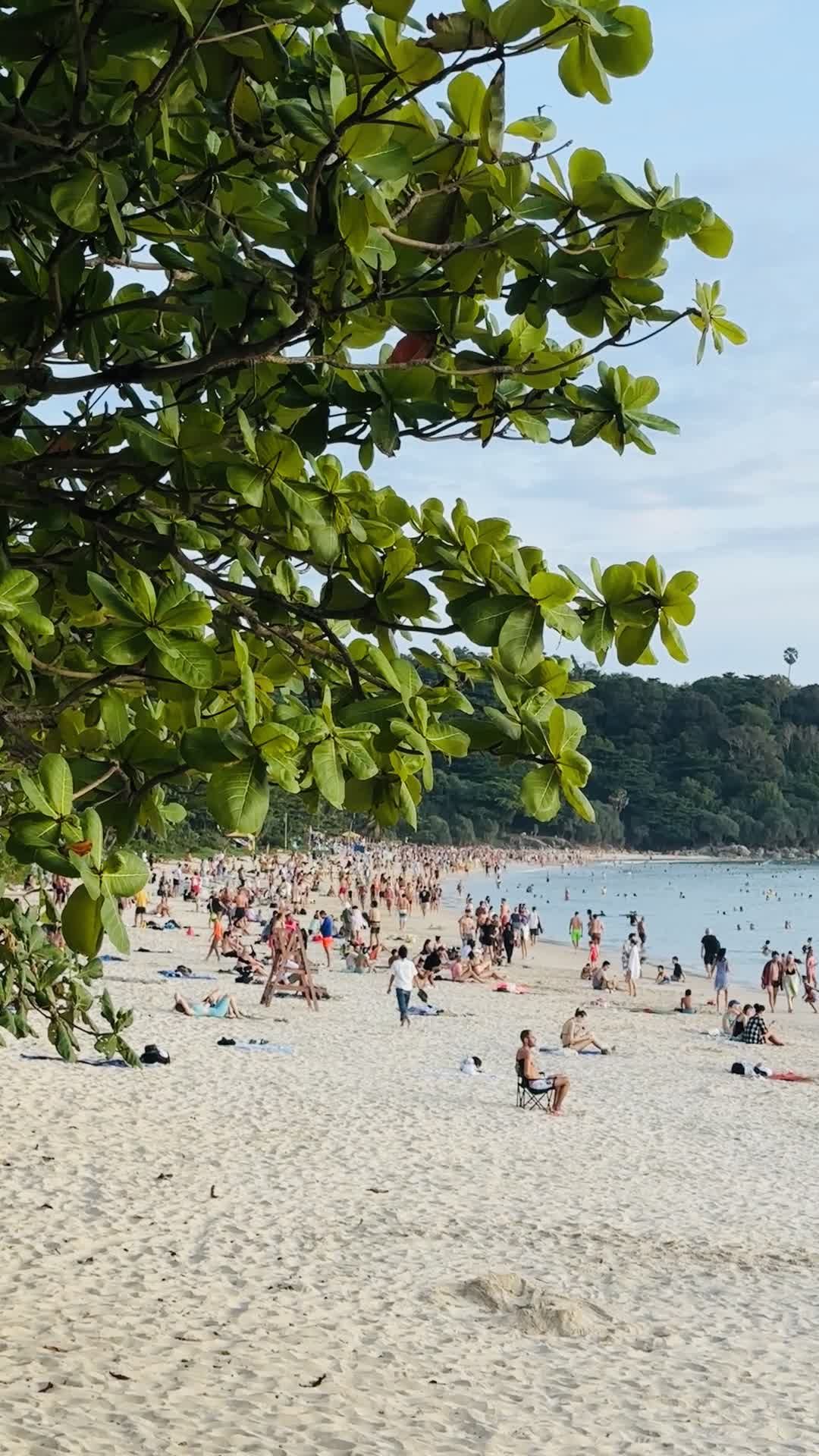 Tourist On The Beach Videos, Download The BEST Free 4k Stock Video ...