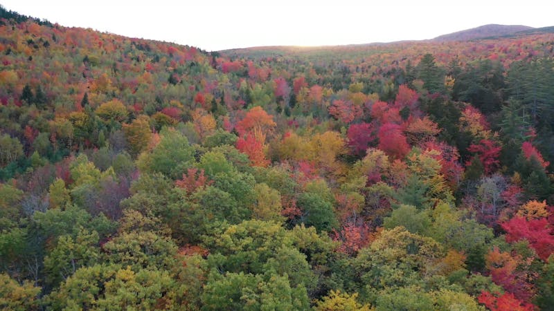 Fall Videos, Download The BEST Free 4k Stock Video Footage & Fall HD ...