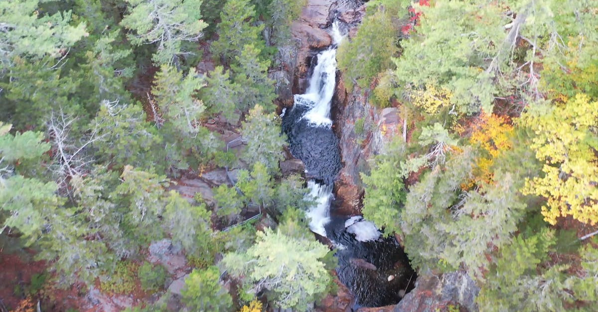 A Stream Running Through The Woods · Free Stock Video A Stream Running Through The Woods · Free Stock Video