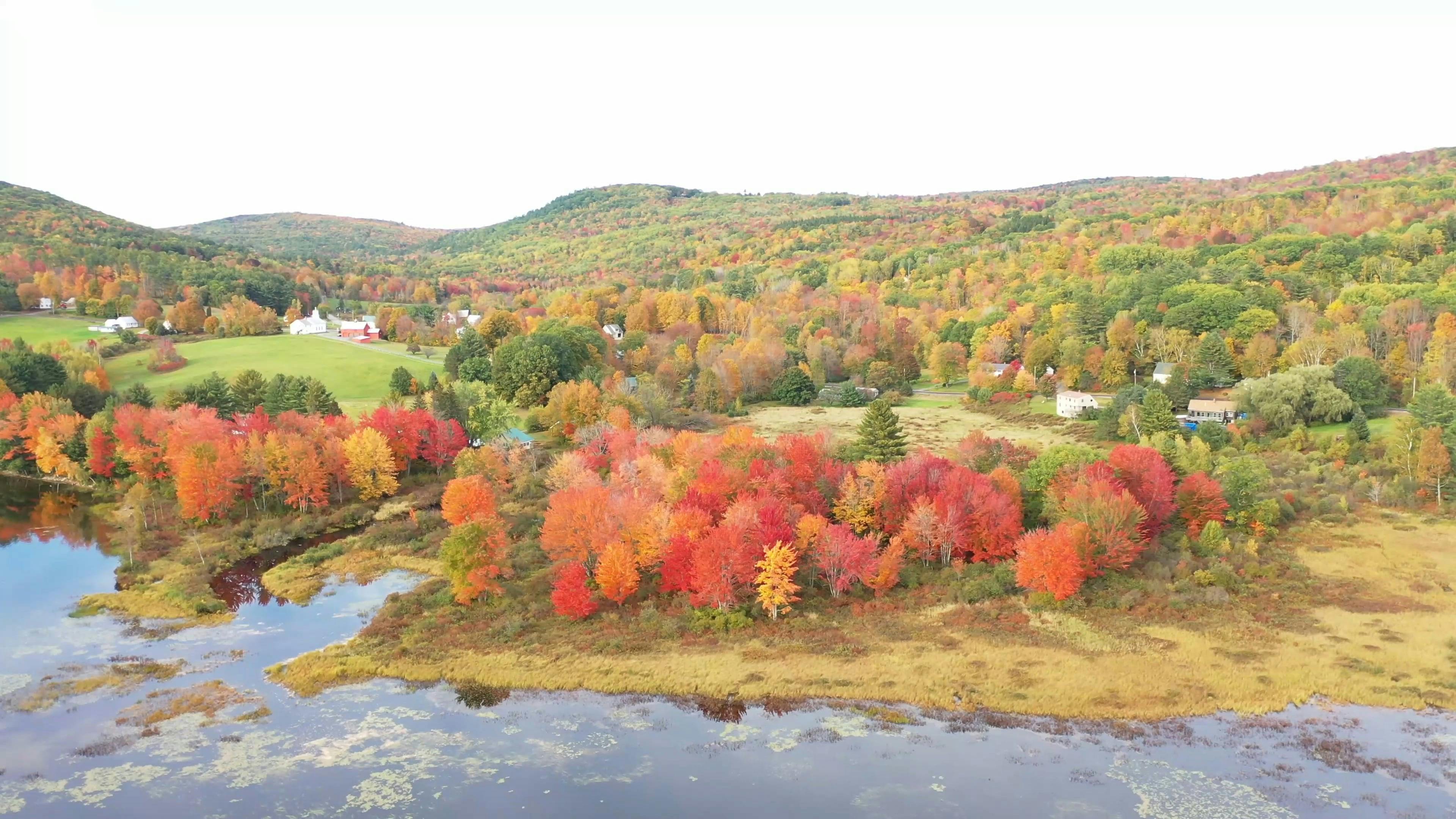 Aerial View Of A Field With Autumn Trees · Free Stock Video