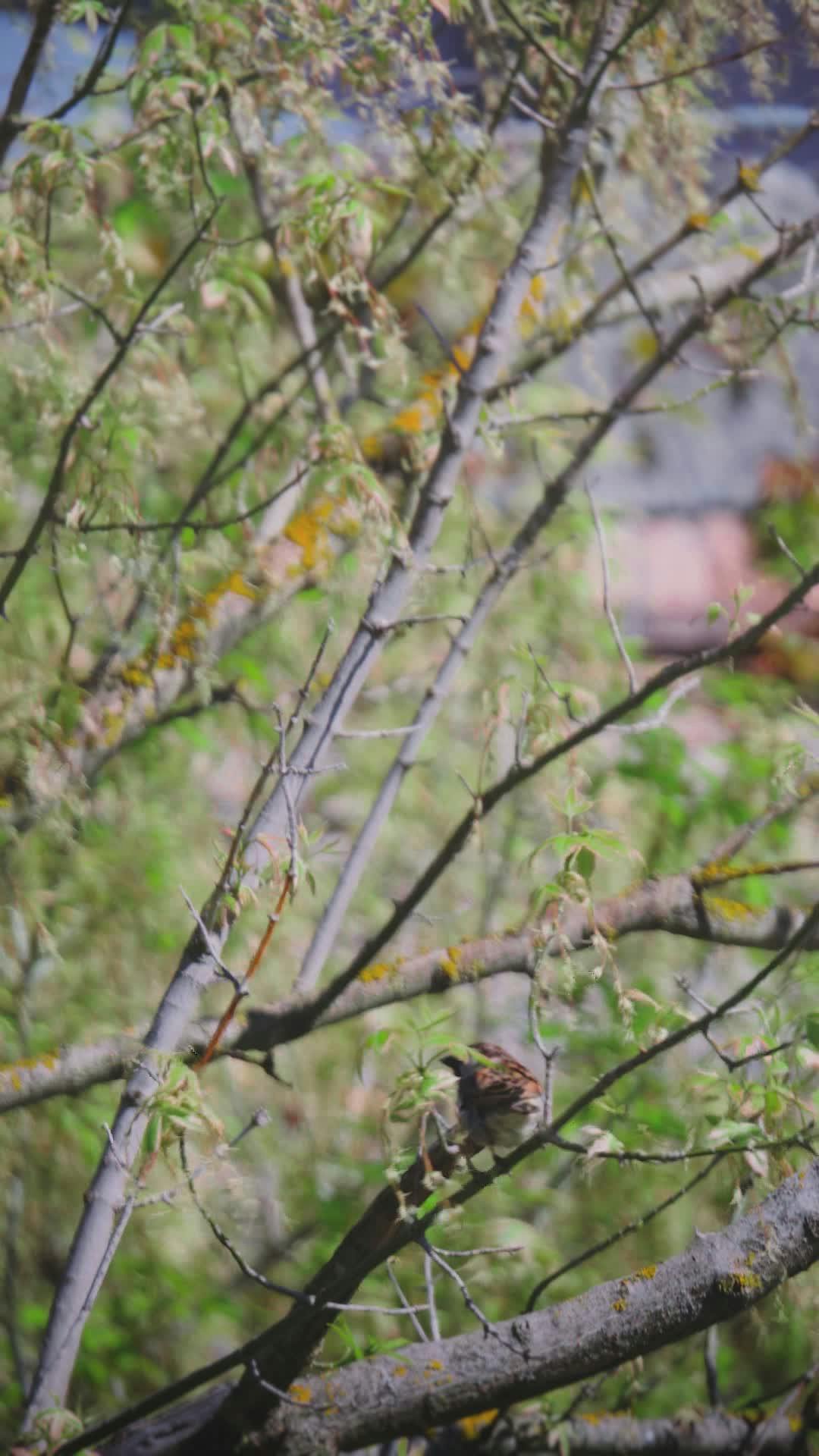 Repo Background Videos, Download The BEST Free 4k Stock Video Footage ...