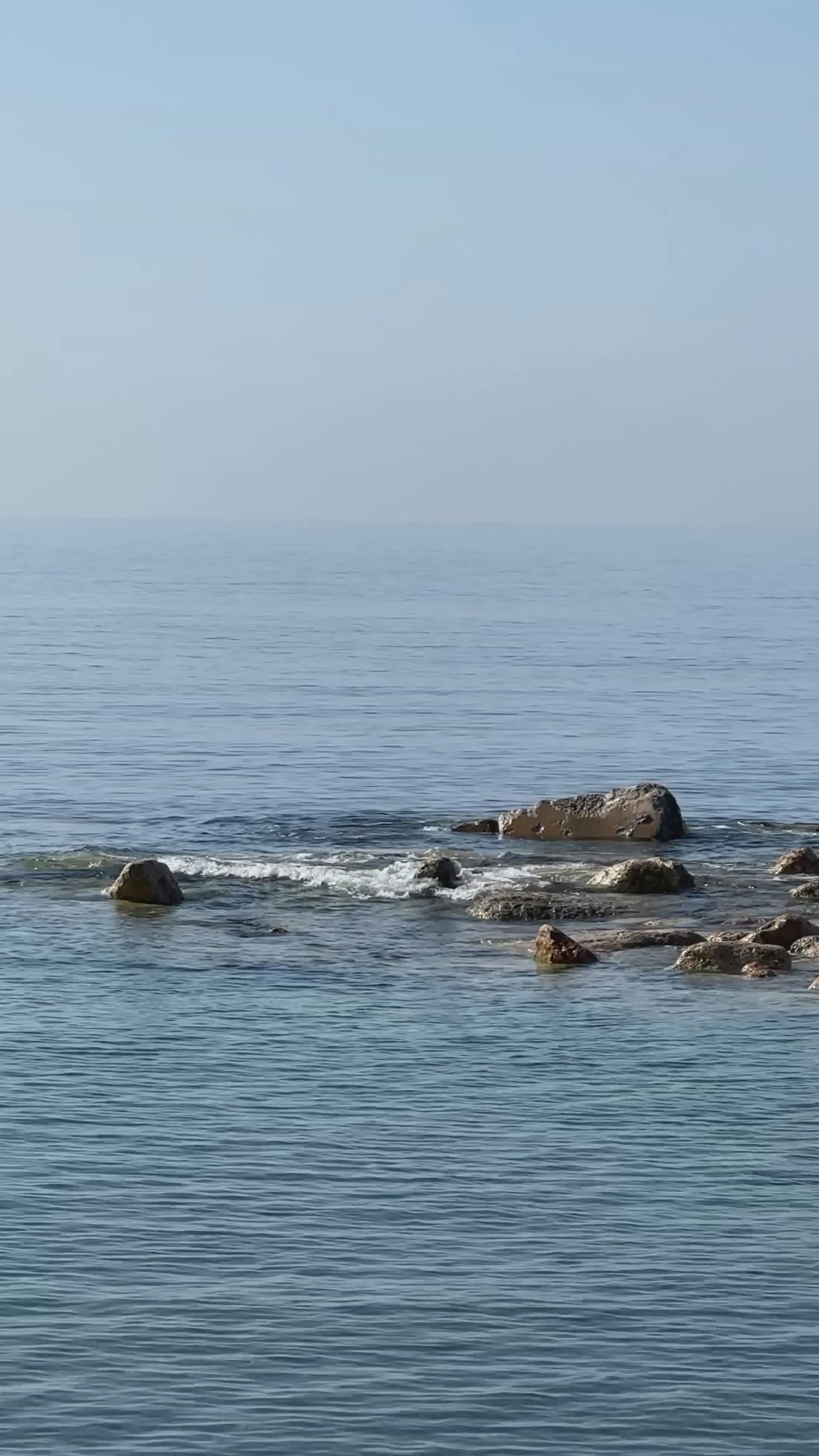 Pron Video Videos, Download The BEST Free 4k Stock Video Footage & Pron ...