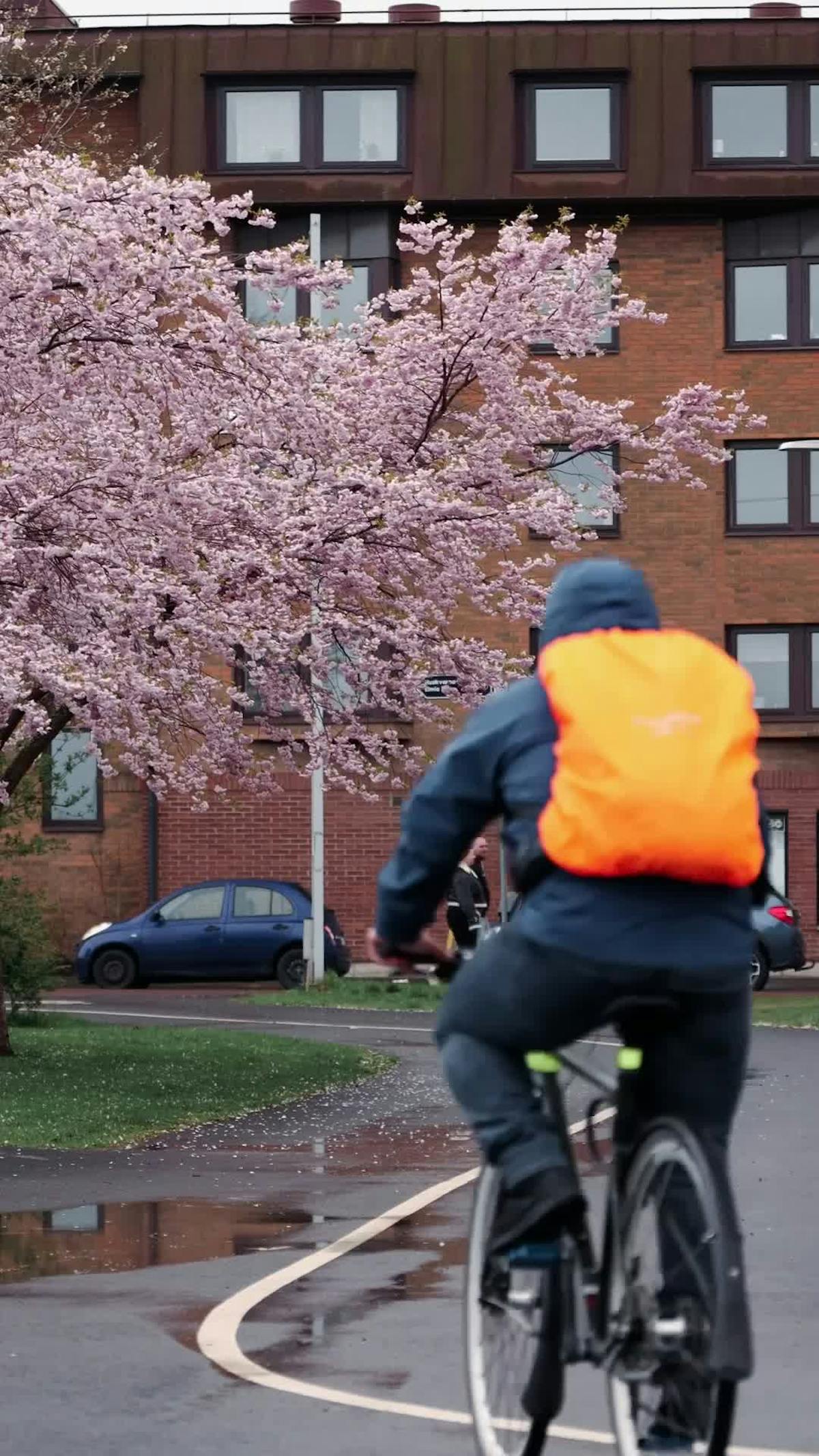 Lesbian+Golden+Shower+Videos Videos, Download The BEST Free 4k Stock Video Footage & Lesbian ...