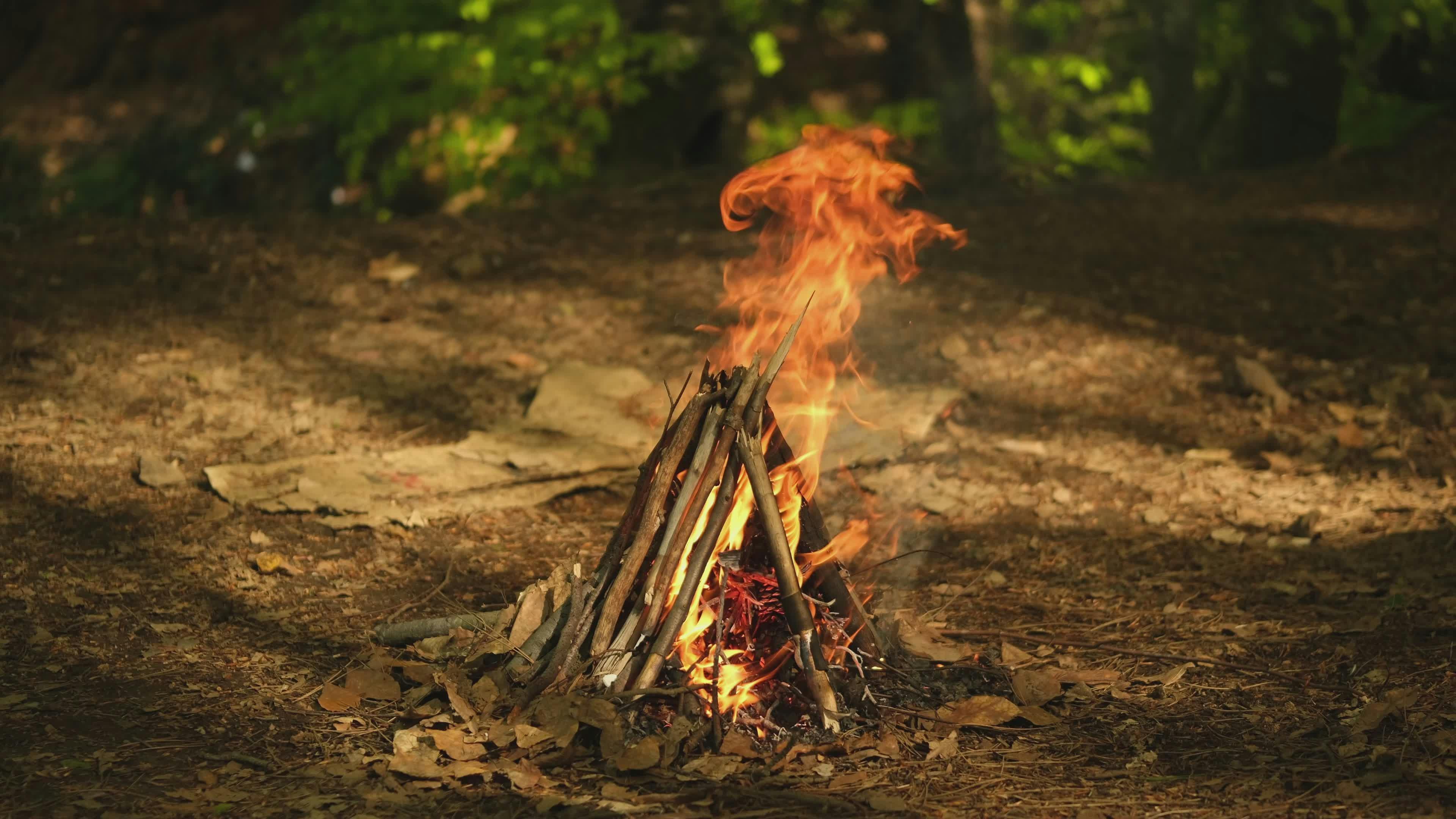 Arrangere Logs Videos, Download The BEST Free 4k Stock Video Footage ...