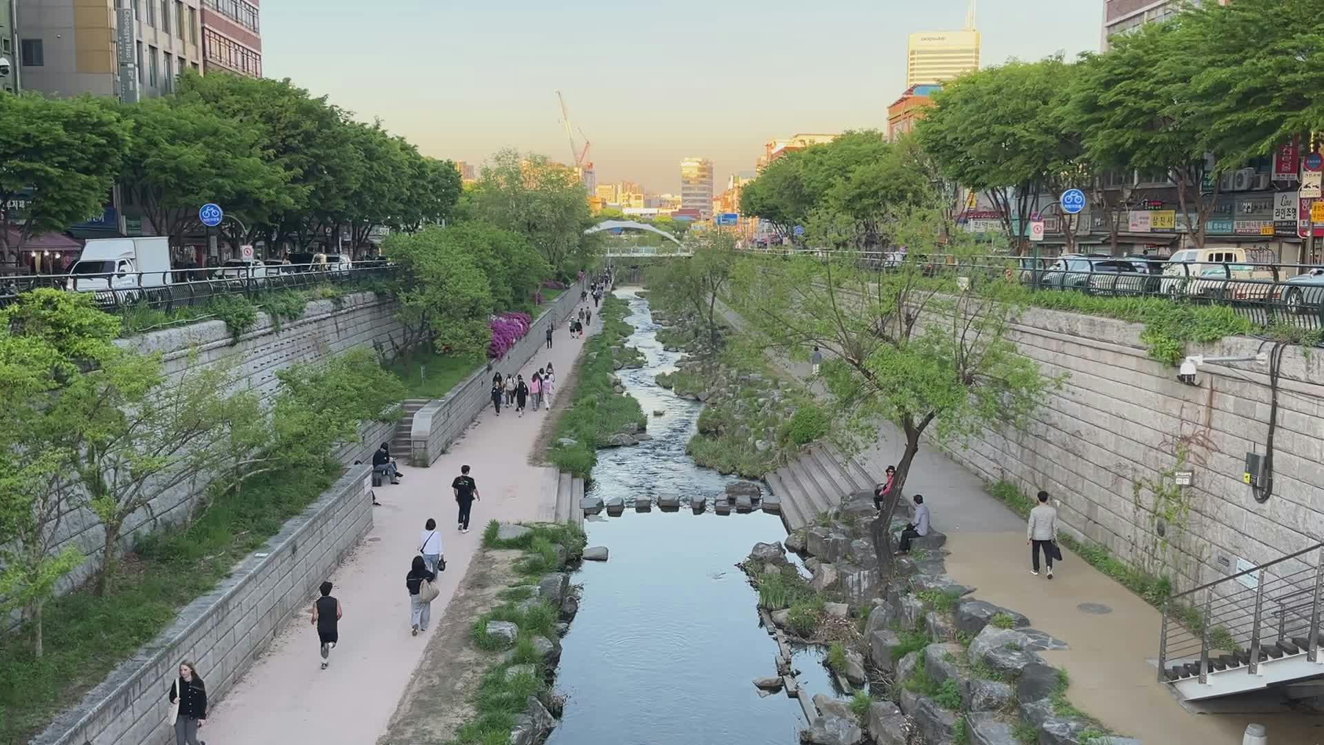 Peaceful Stroll Along Cheonggyecheon Stream Seoul Free Stock Video ...