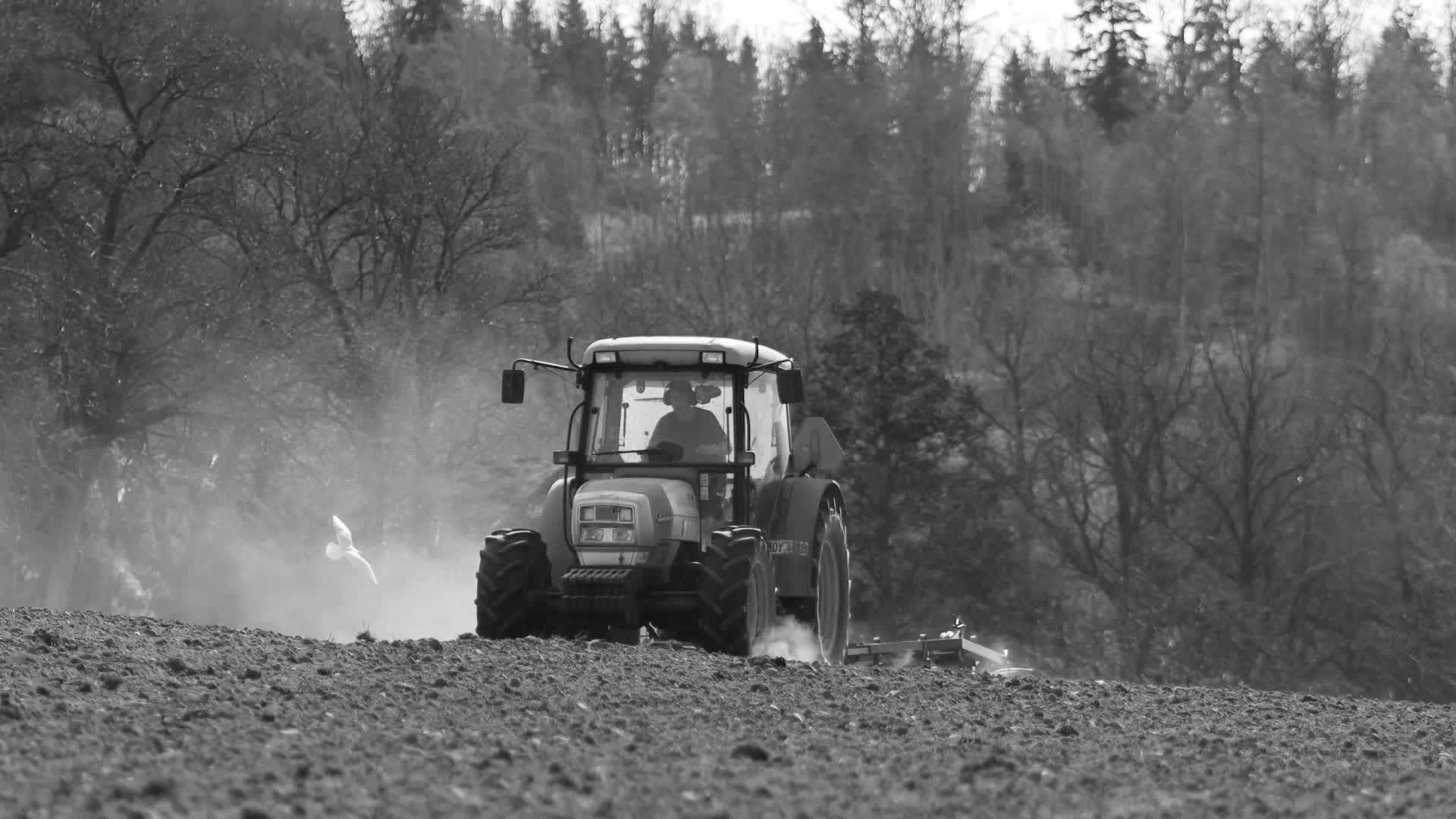 Free+Live+Wallpaper+Motion+Bgs Videos, Download The BEST Free 4k Stock ...