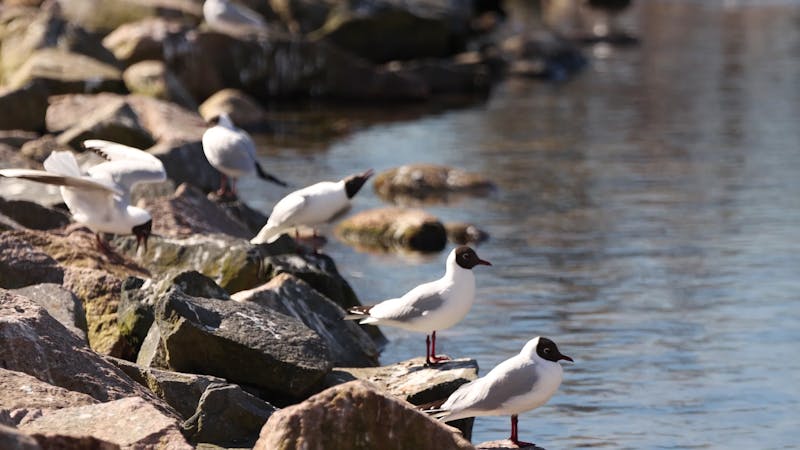 Pron Video Videos, Download The BEST Free 4k Stock Video Footage & Pron ...