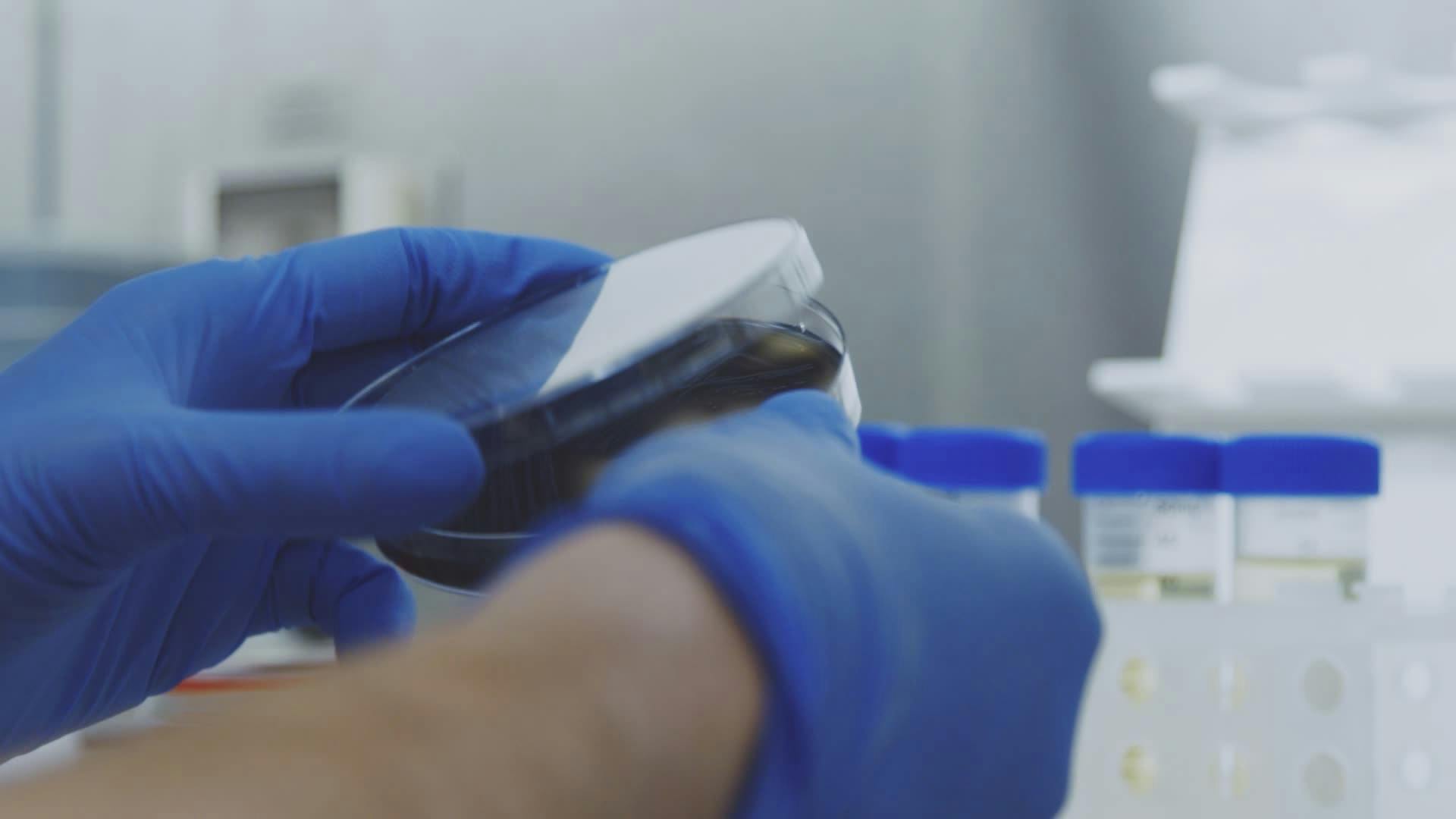 Arlida Petri Bugil Videos, Download The BEST Free 4k Stock Video Footage & Arlida Petri Bugil HD ...