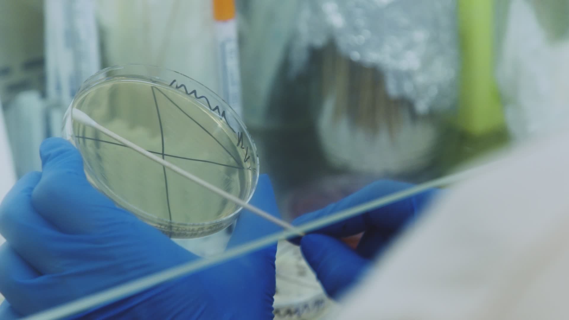Parts Of A Cell Videos, Download The BEST Free 4k Stock Video Footage ...