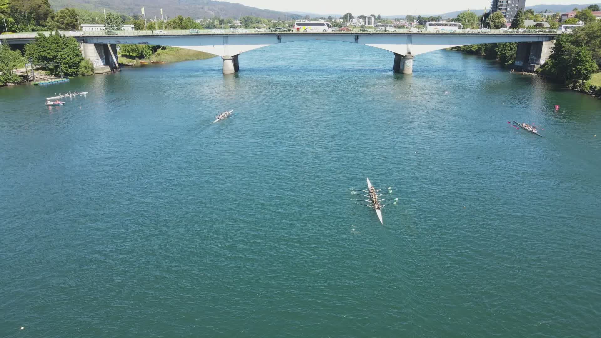 Spectacular Aerial View of Rowers Under Bridge Free Stock Video Footage ...