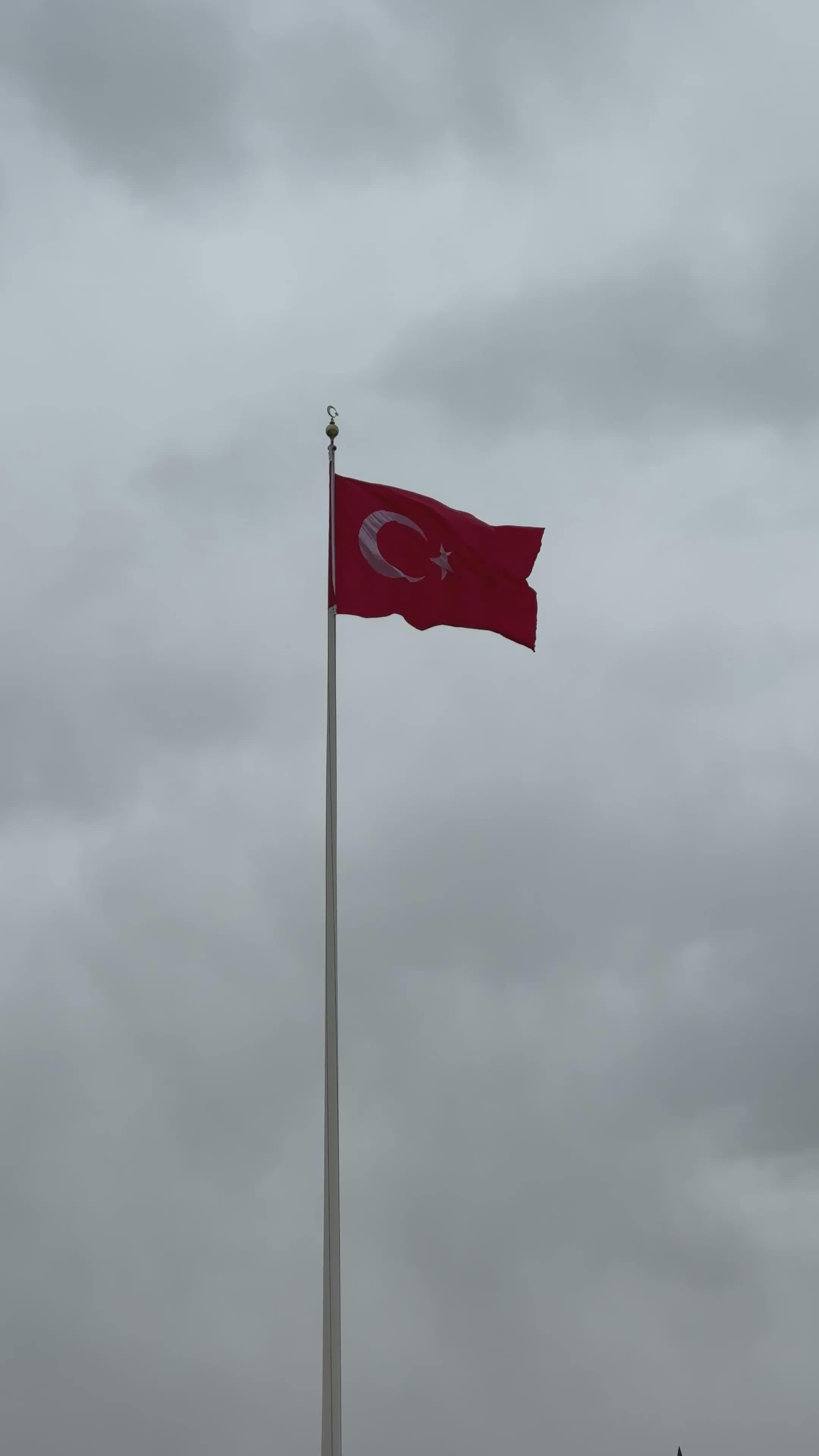 Alyx Star Videos, Download The BEST Free 4k Stock Video Footage & Alyx ...