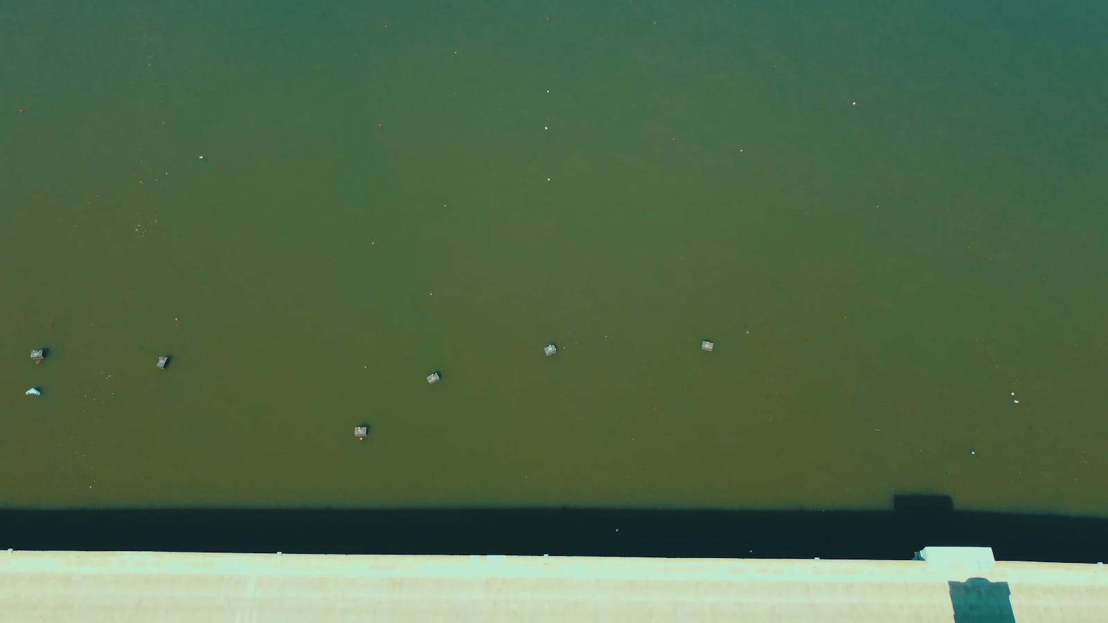 Free Pond Videos, Download The BEST Free 4k Stock Video Footage & Free ...