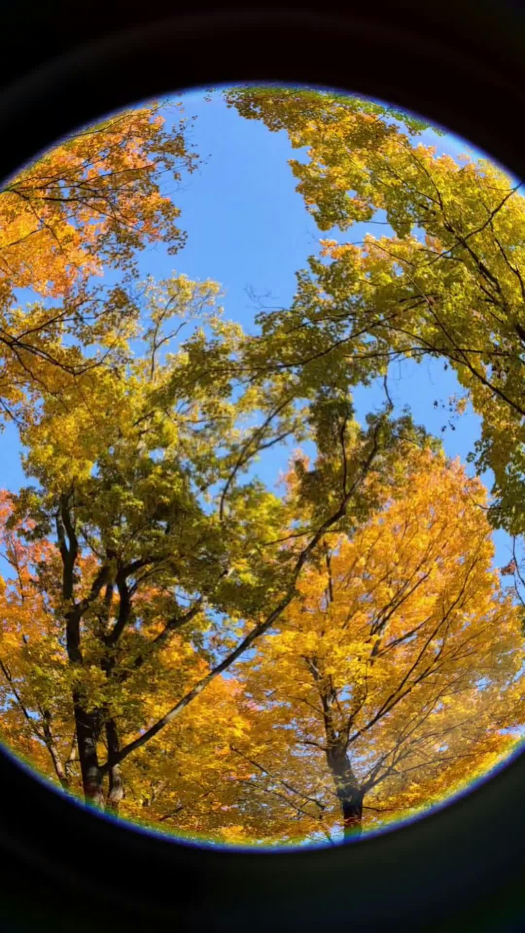 Round Asses Videos, Download The BEST Free 4k Stock Video Footage ...