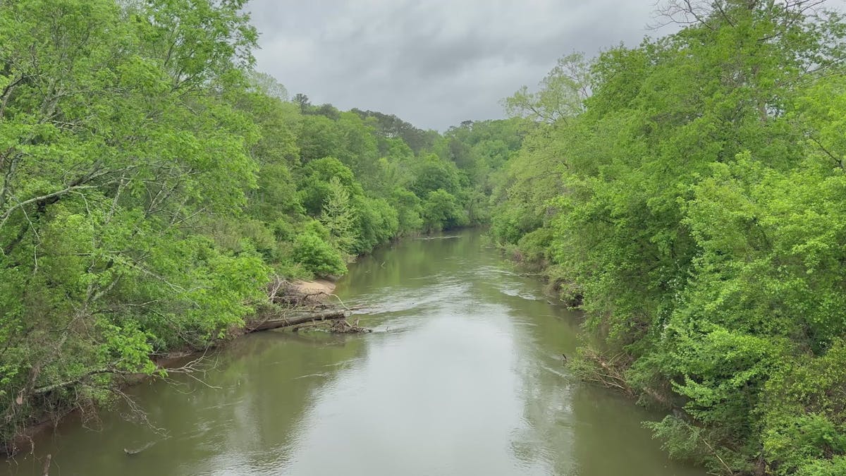 Best+Facial+Compilation Videos, Download The BEST Free 4k Stock Video ...