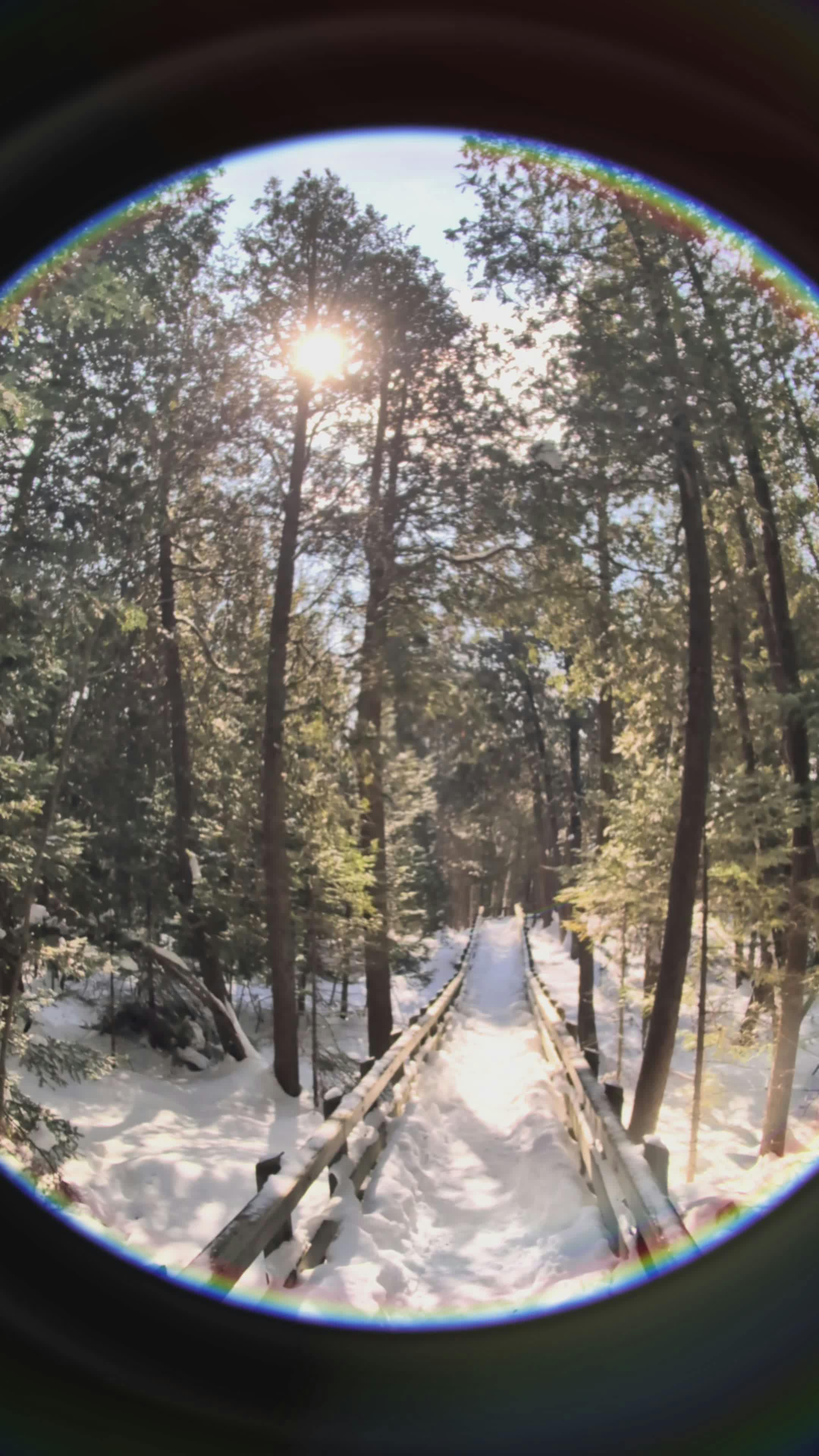 Trail Cykel Videos, Download The BEST Free 4k Stock Video Footage ...