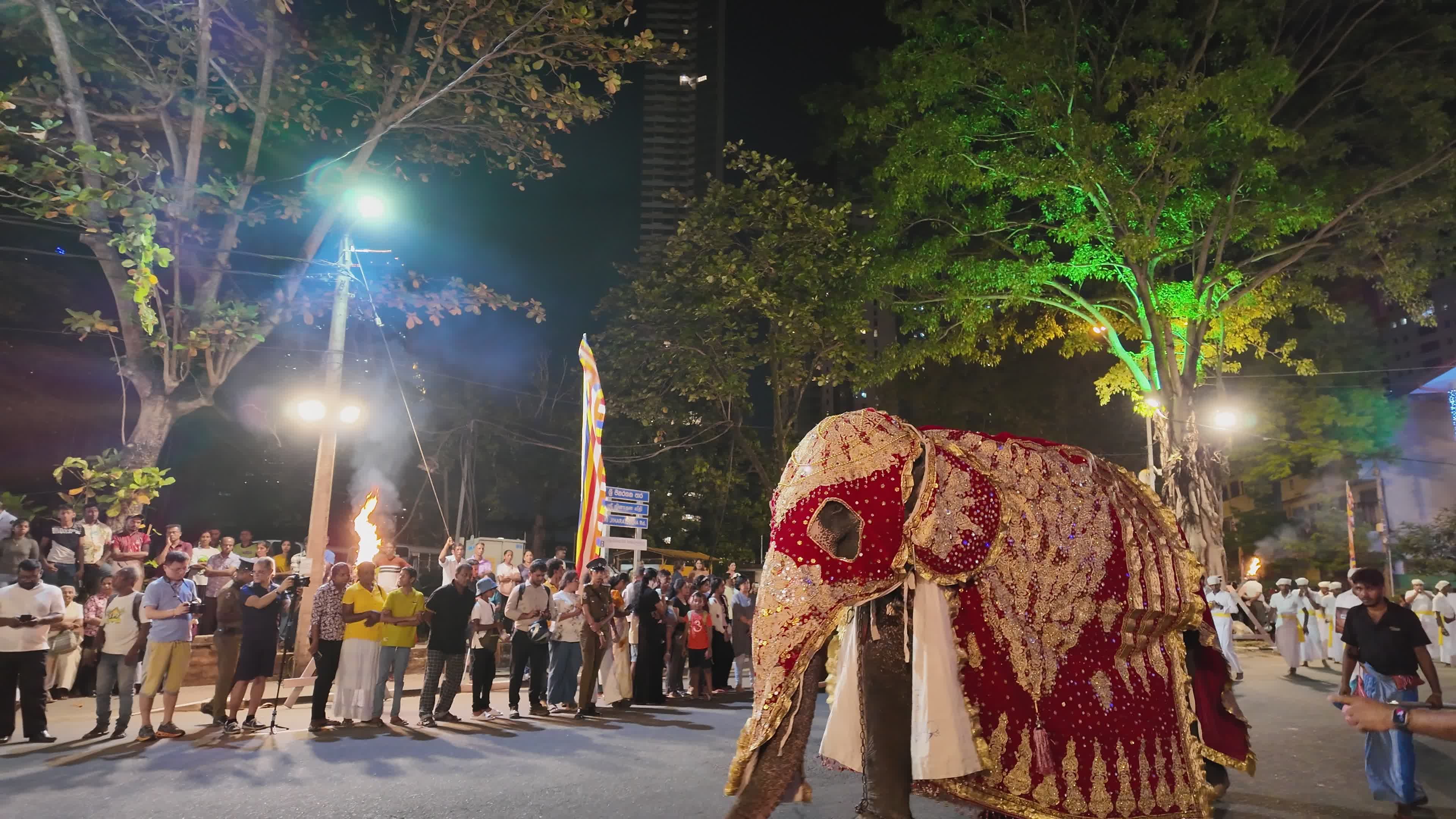Colorful Cultural Parade with Decorated Elephant Free Stock Video ...