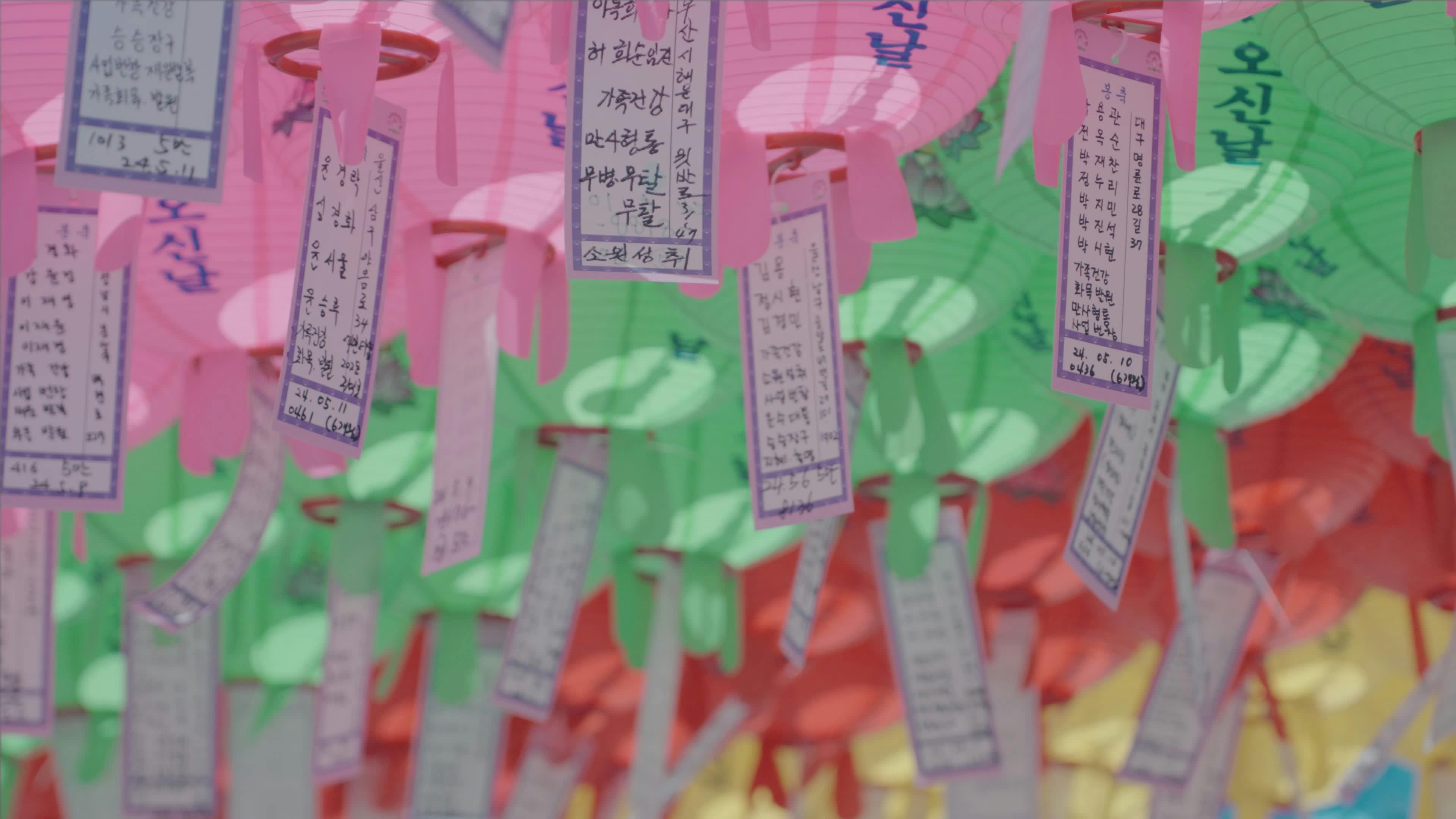 Korean Script Videos, Download The BEST Free 4k Stock Video Footage ...