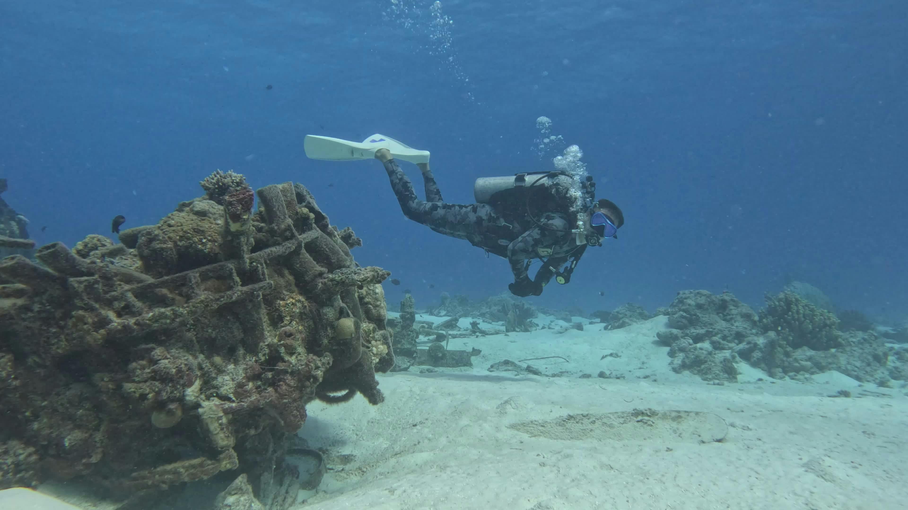 Astro+18++Dandy's+World Videos, Download The BEST Free 4k Stock Video ...