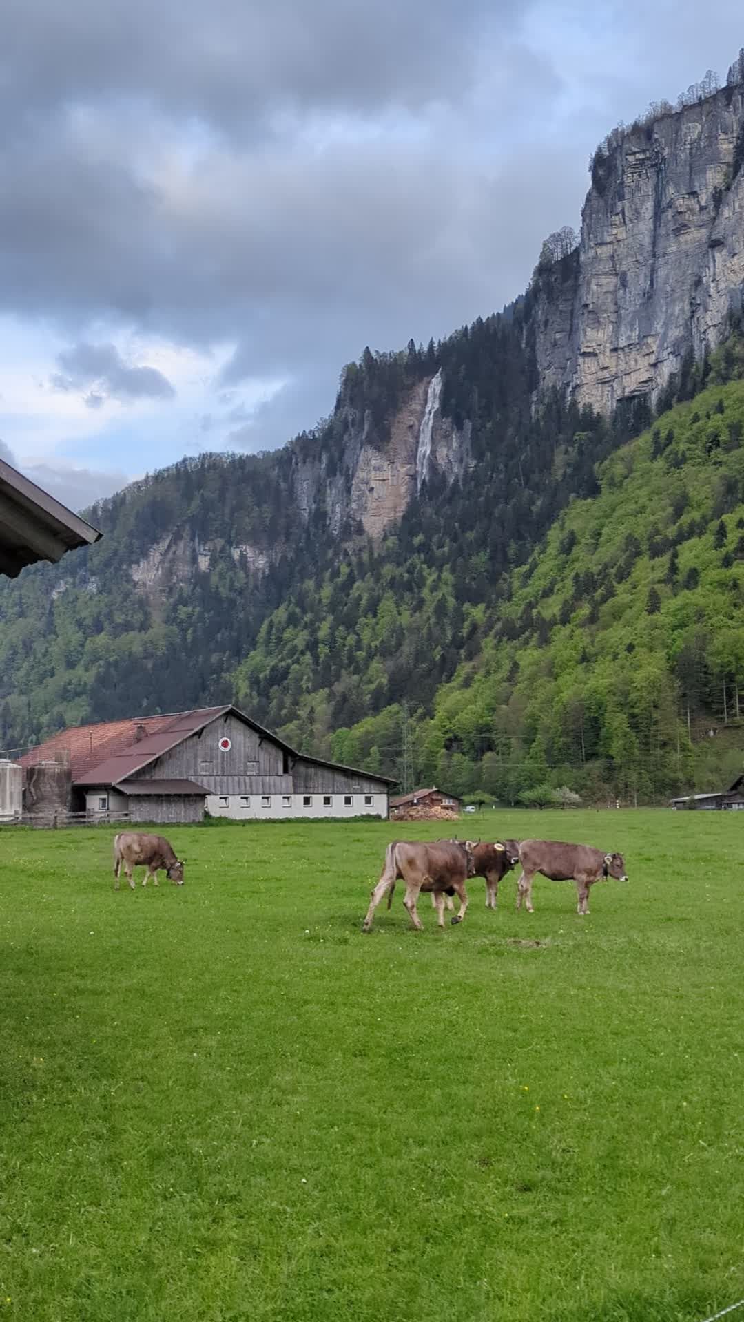 Swiss Barn Videos, Download The BEST Free 4k Stock Video Footage ...