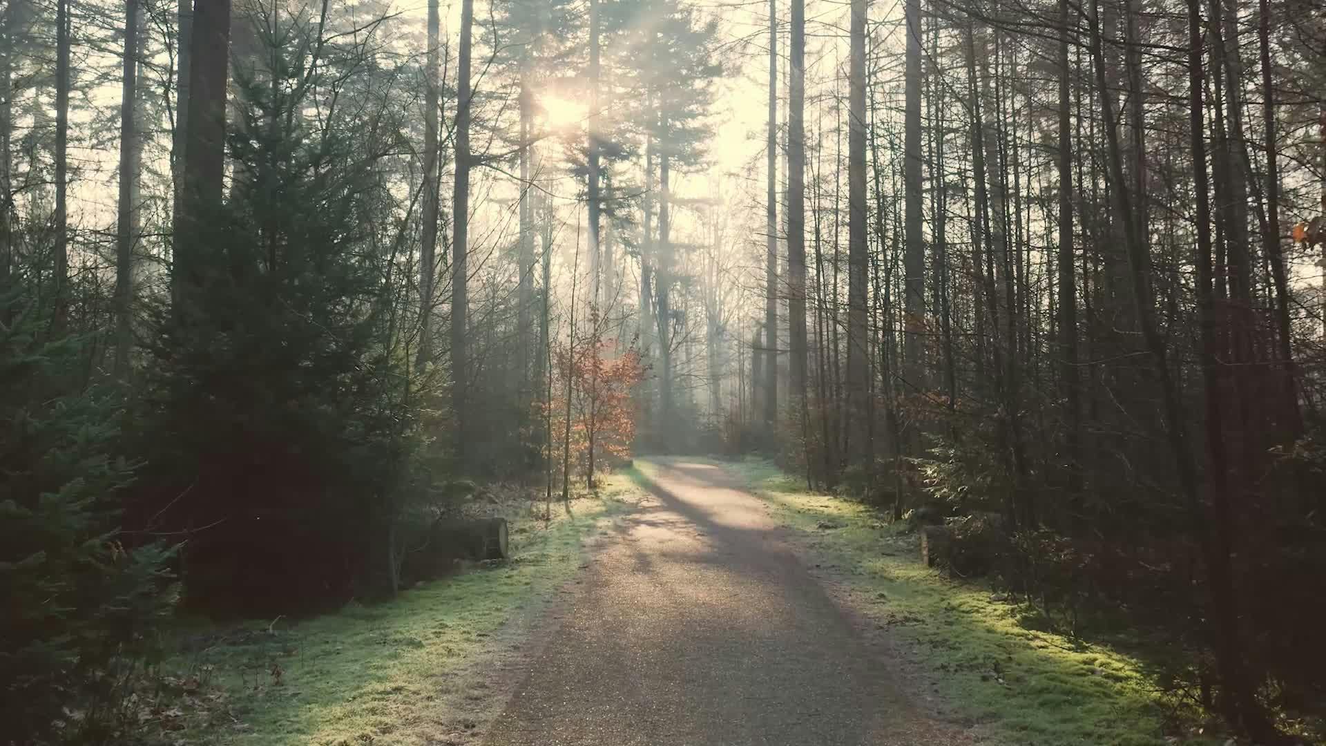 Hint Of Light Videos, Download The BEST Free 4k Stock Video Footage ...