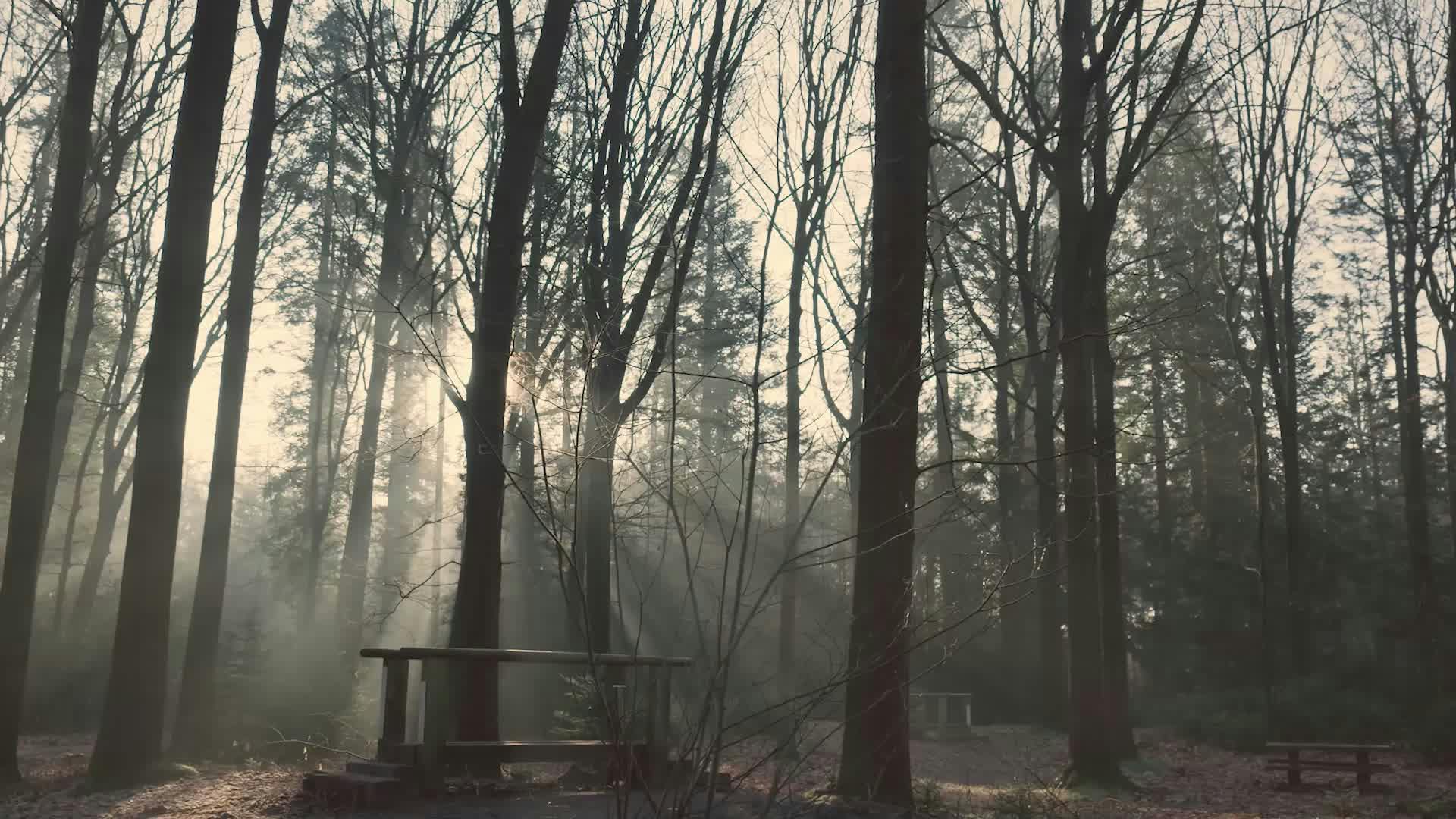 Open Source Videos, Download The BEST Free 4k Stock Video Footage ...