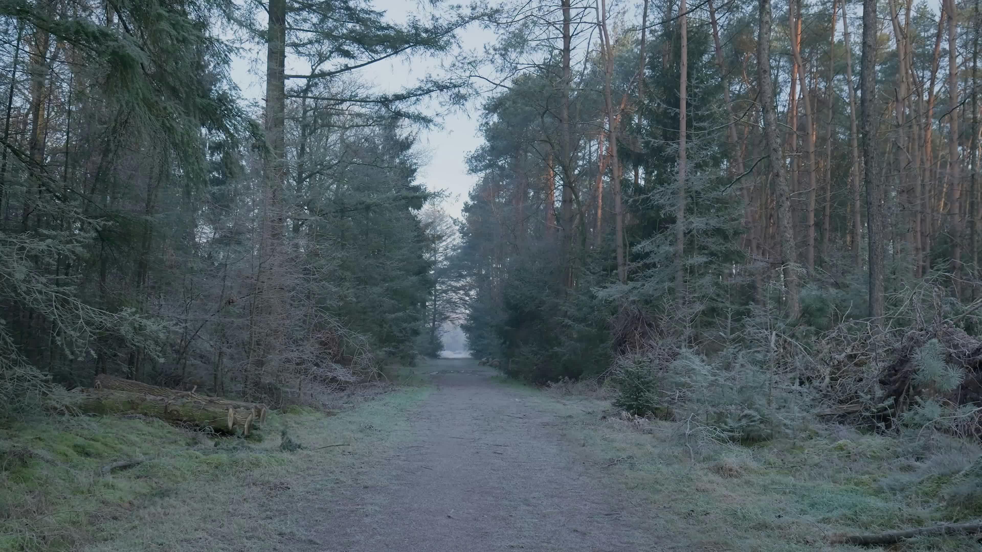 Simple Database Videos, Download The BEST Free 4k Stock Video Footage ...