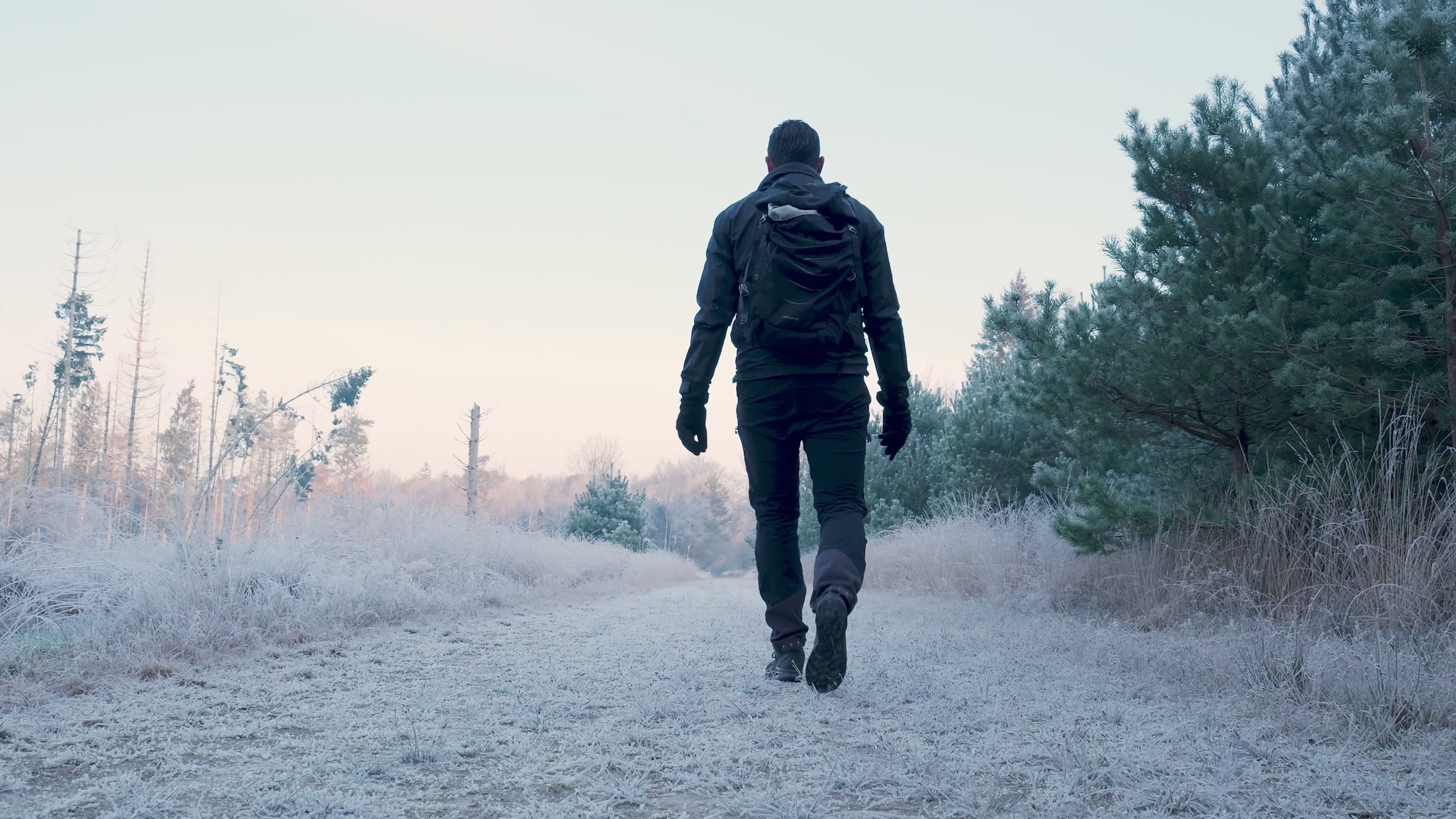 Exercise Walking Man Videos, Download The BEST Free 4k Stock Video ...